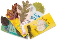 Book of Leaves - Lesson Plans | BLICK Art Materials