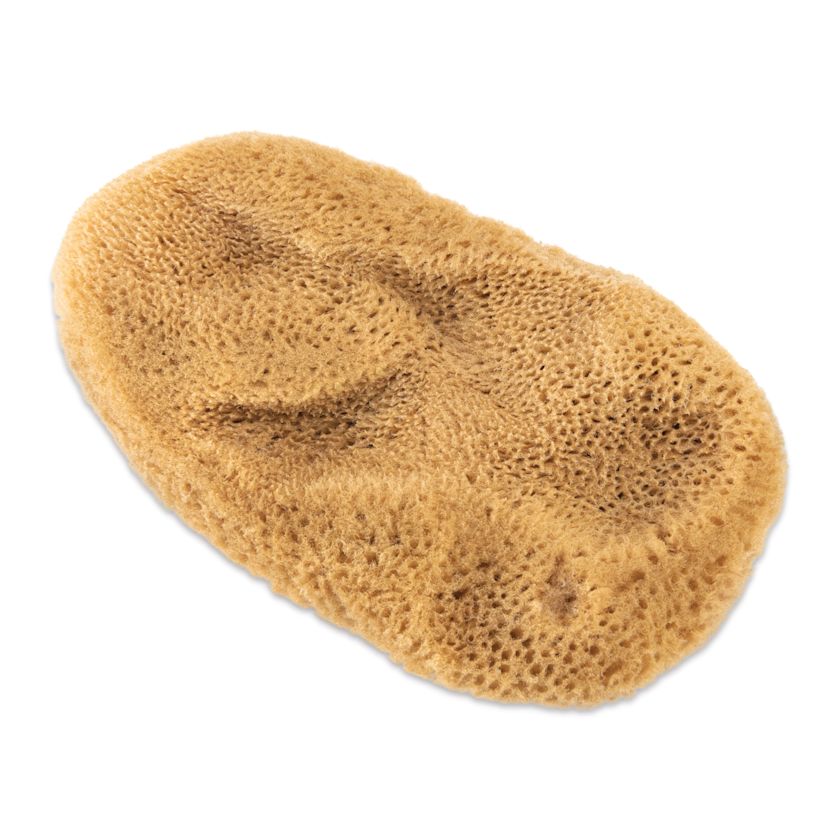 Royal & Langnickel Elephant Ear Sponge - 3 to 3-1/2" | BLICK Art Materials