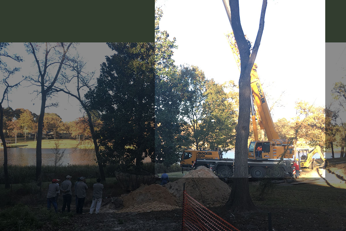 Greenbriar | Landvisions