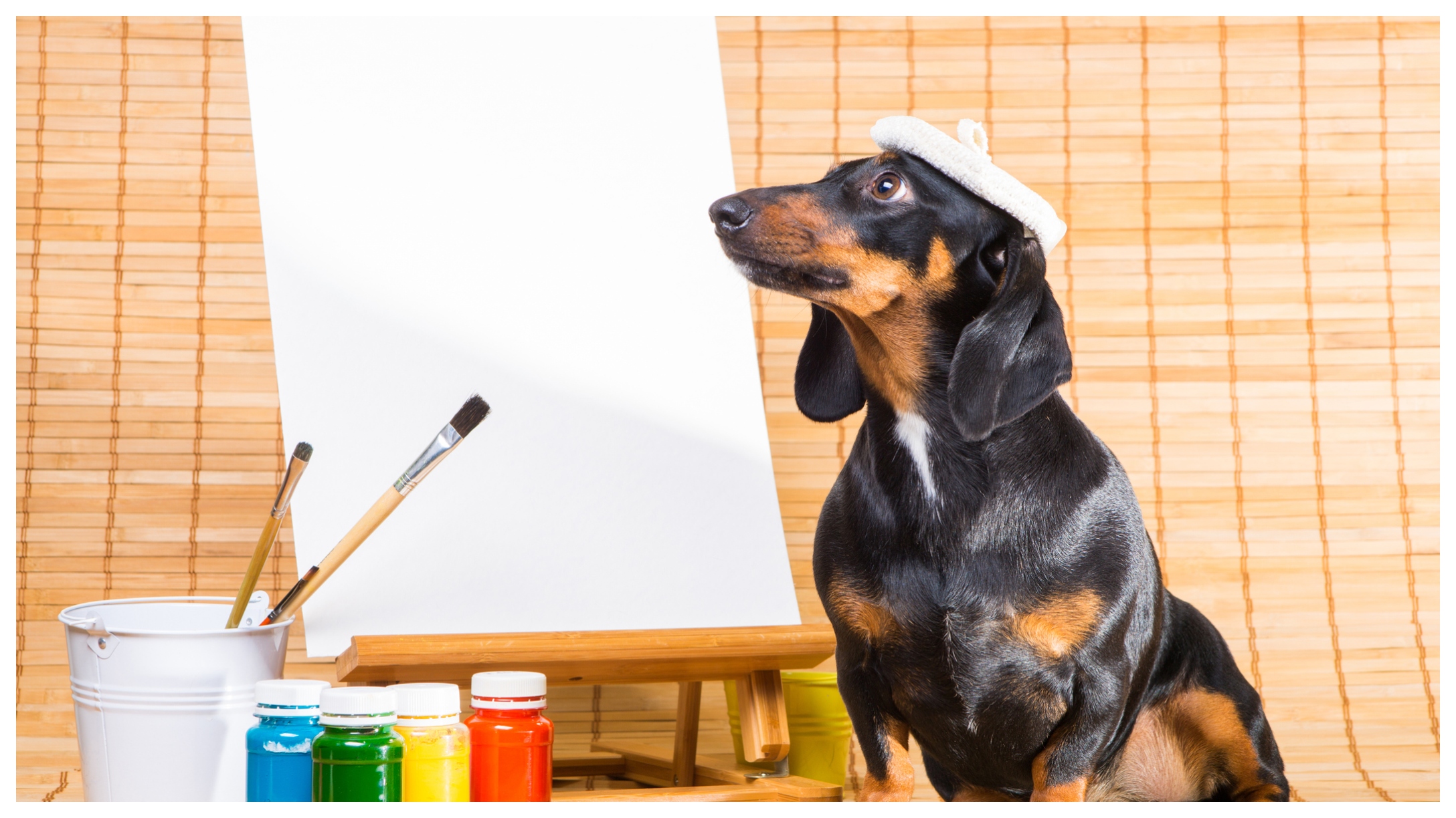 The Best Art-Inspired Dog Names For Your Poetic Pup | LittleThings.com