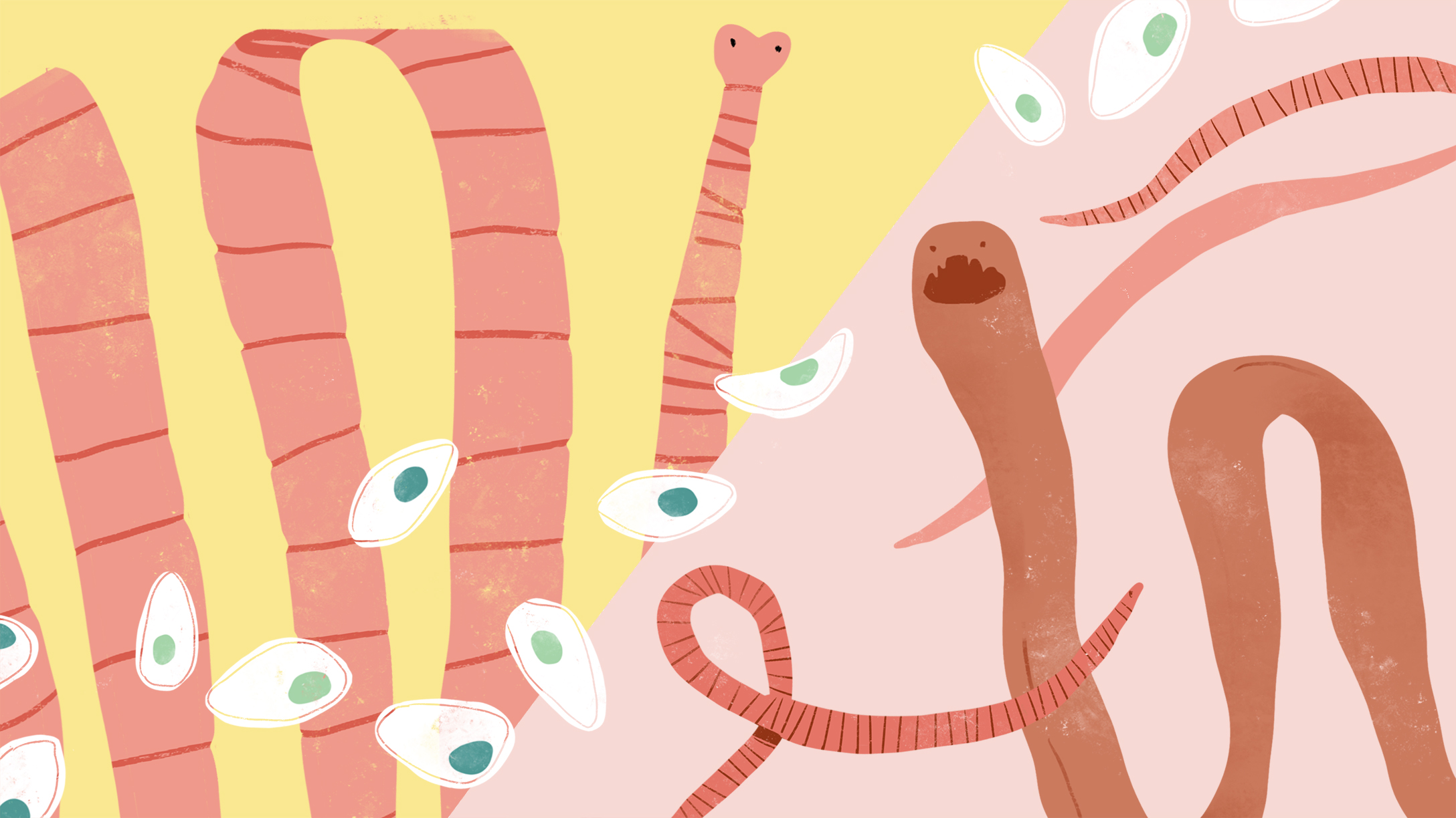 9 Parasites That Could Be Inside Your Right Now | LittleThings.com