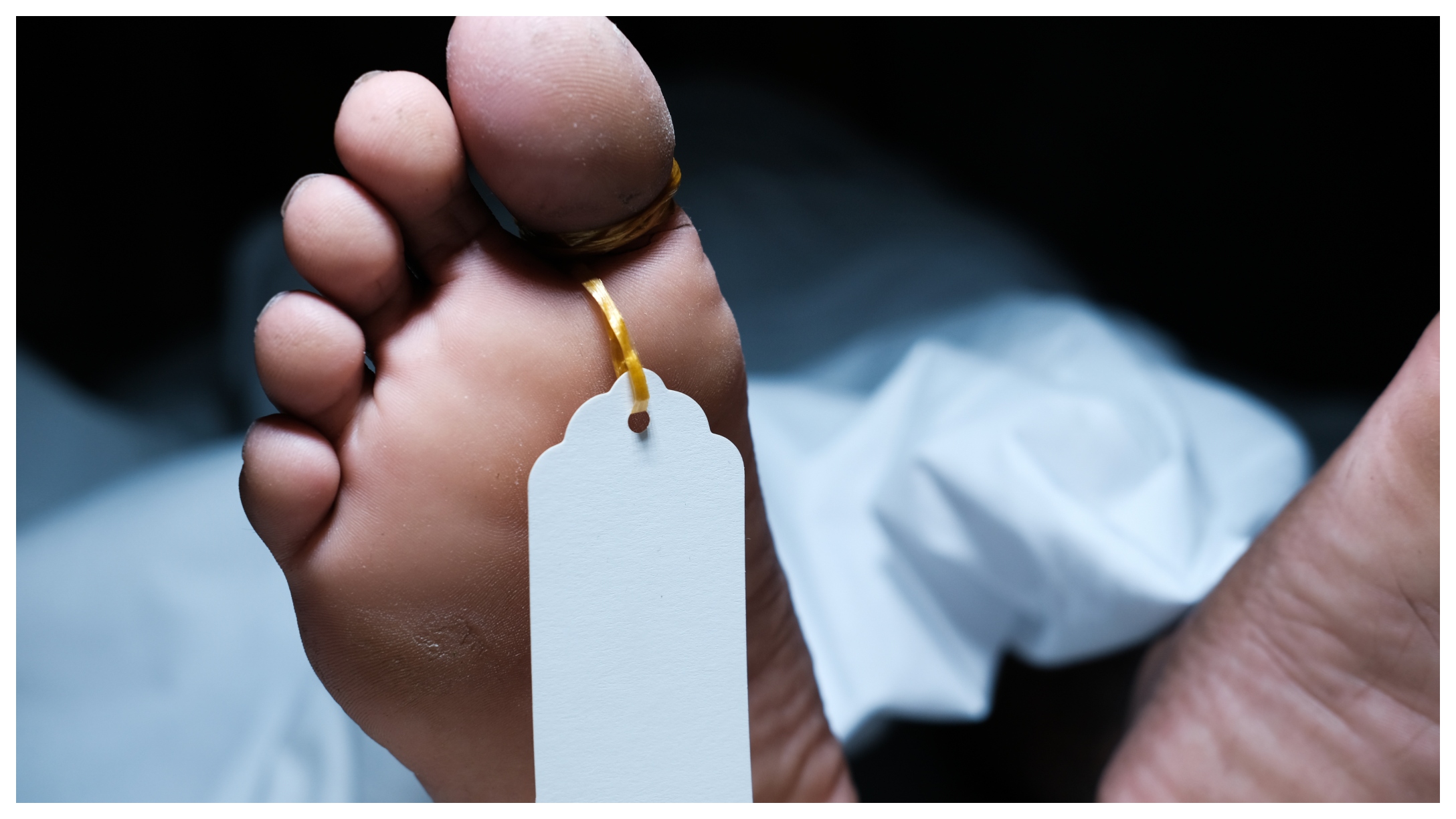 Memphis Officials Are Working To Identify A Body Found After Eliza ...