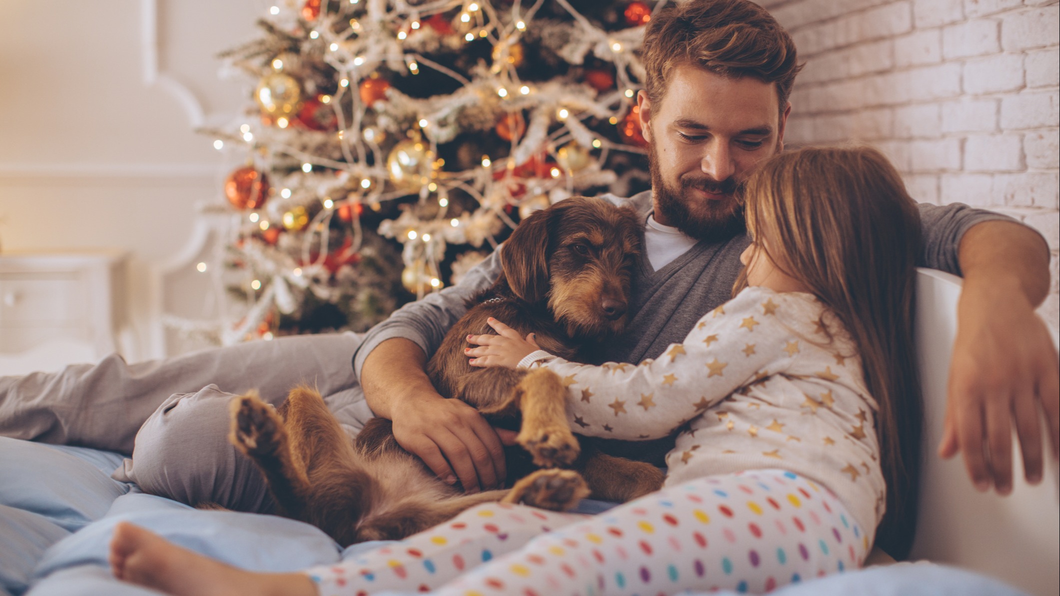 6 Pet-Friendly & Fun Ways To Celebrate The Holidays | LittleThings.com