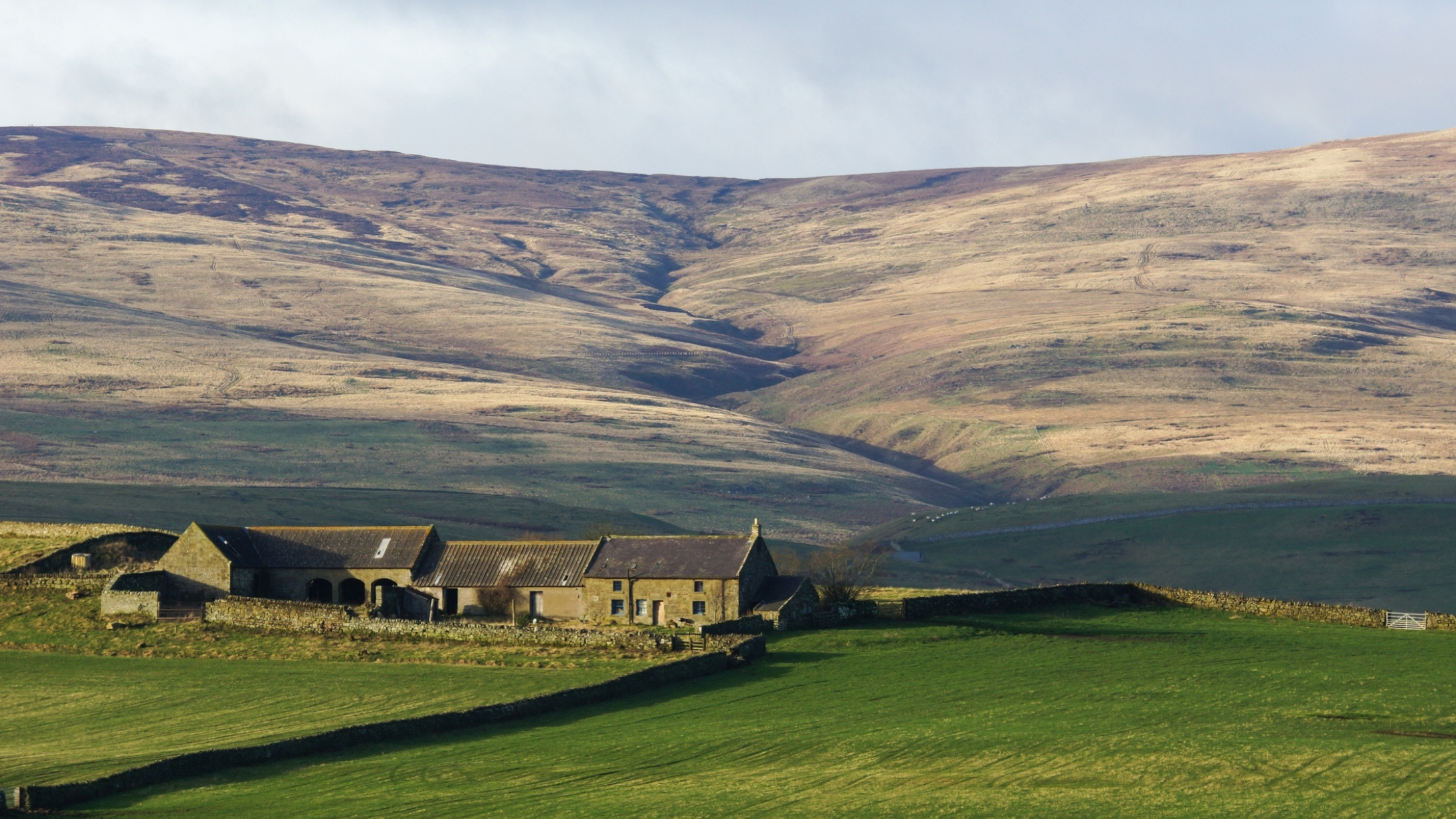 Couple Restoring 16th Century Welsh Farmhouse Discover A Witchcraft Den ...