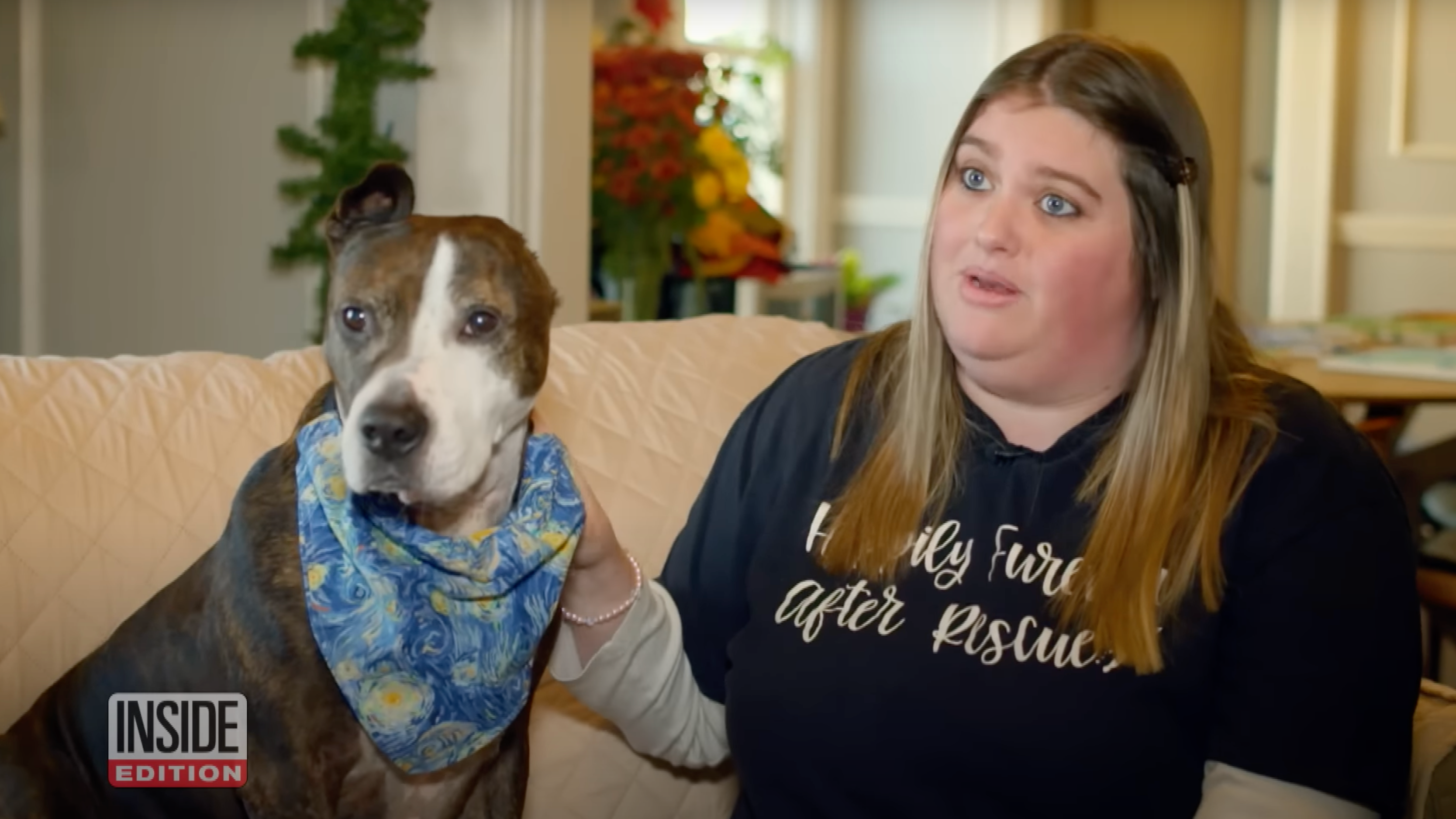 A Former Stray Dog With One Ear Named Van Gogh Creates Beautiful ...