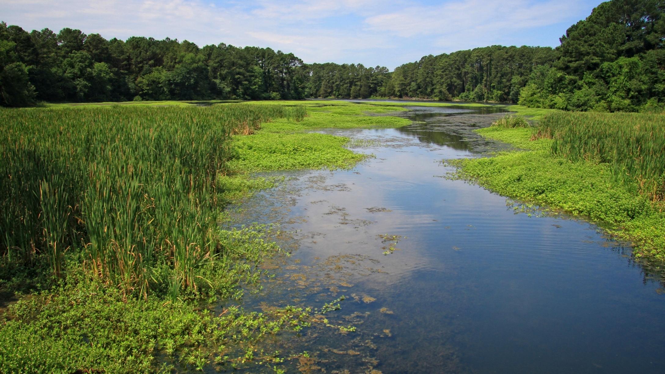 Father Opens Up About The Discovery Of His Missing Teen Daughter's ...