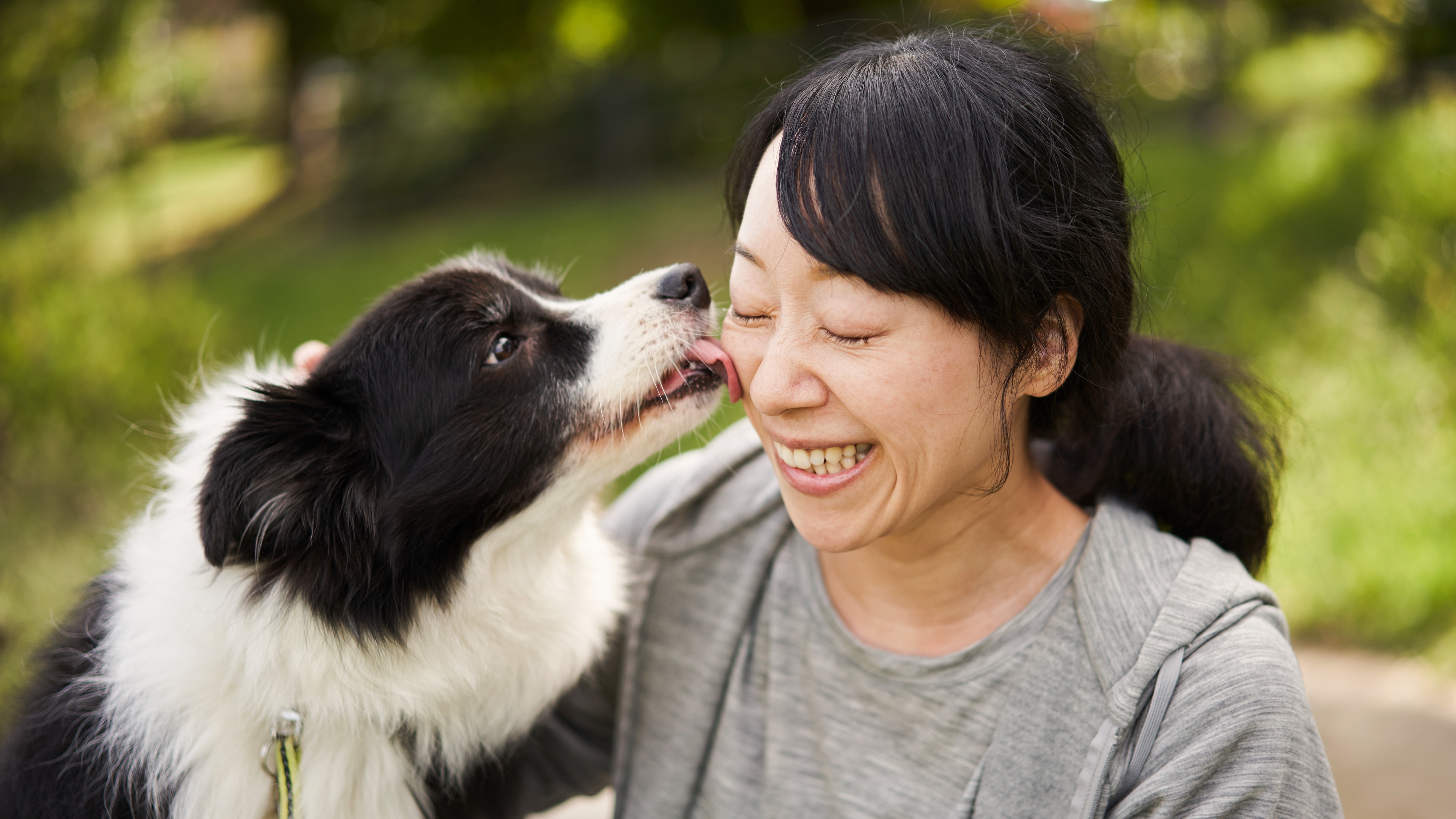 Signs That Your Dog Trusts You | LittleThings.com