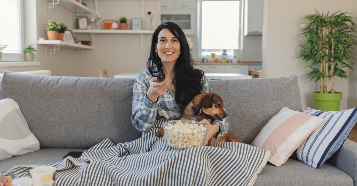 This Company Aims To Make Streaming Video That's Absolutely Purr-fect ...