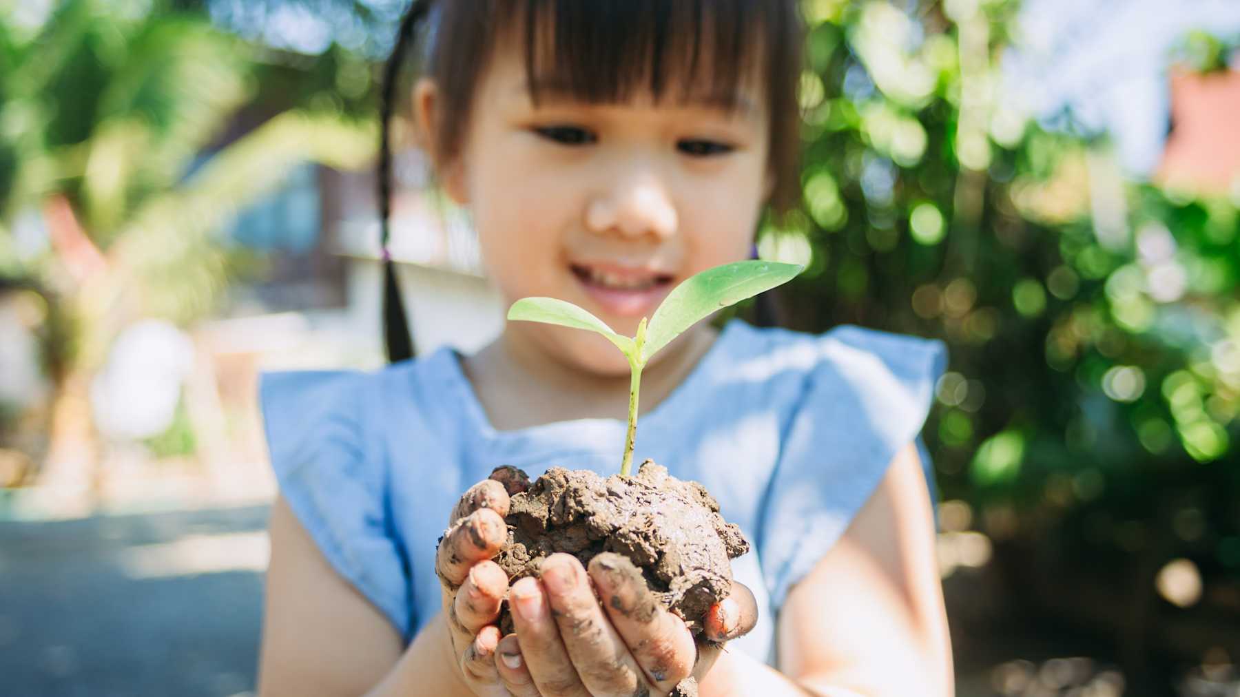 6 Home Hacks That Are Good For The Environment LittleThings 6-home-hacks-that-are-good-for-the-environment-littlethings