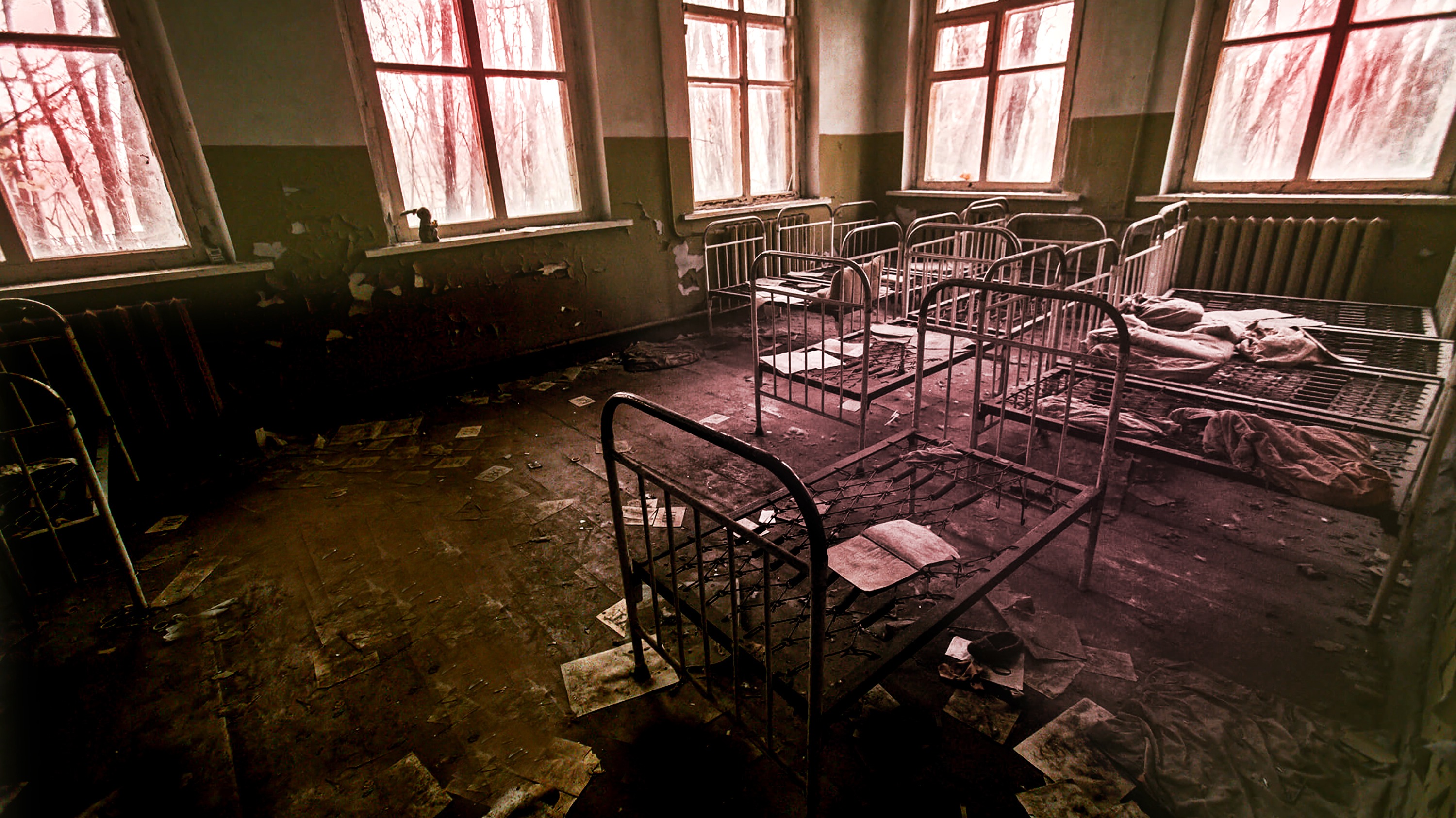 A Starving 8-Year-Old Orphan’s Astonishing Rescue And Transformation ...