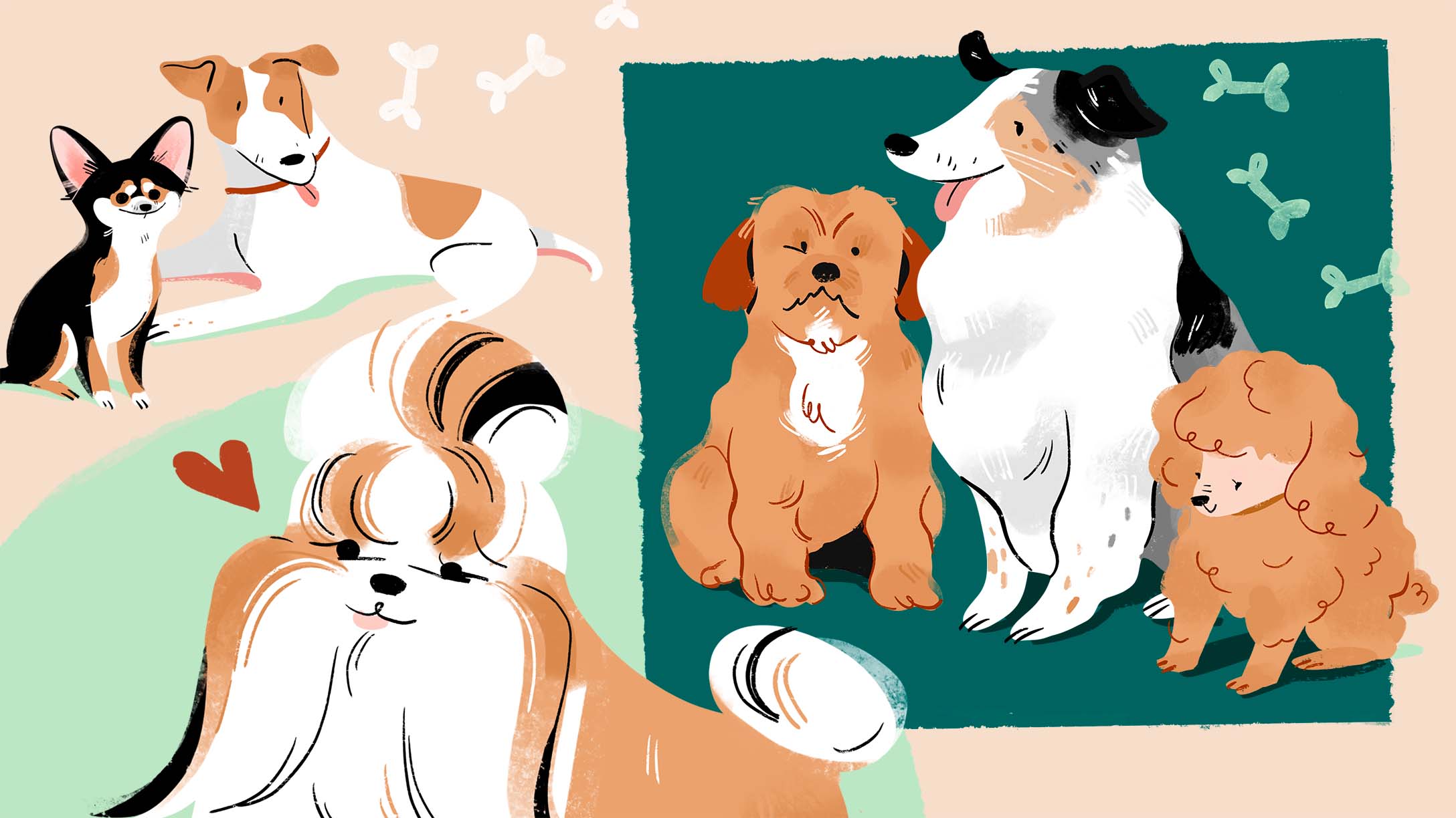 Lots Of People Love These Beautiful Dogs, And They Live For A Really ...