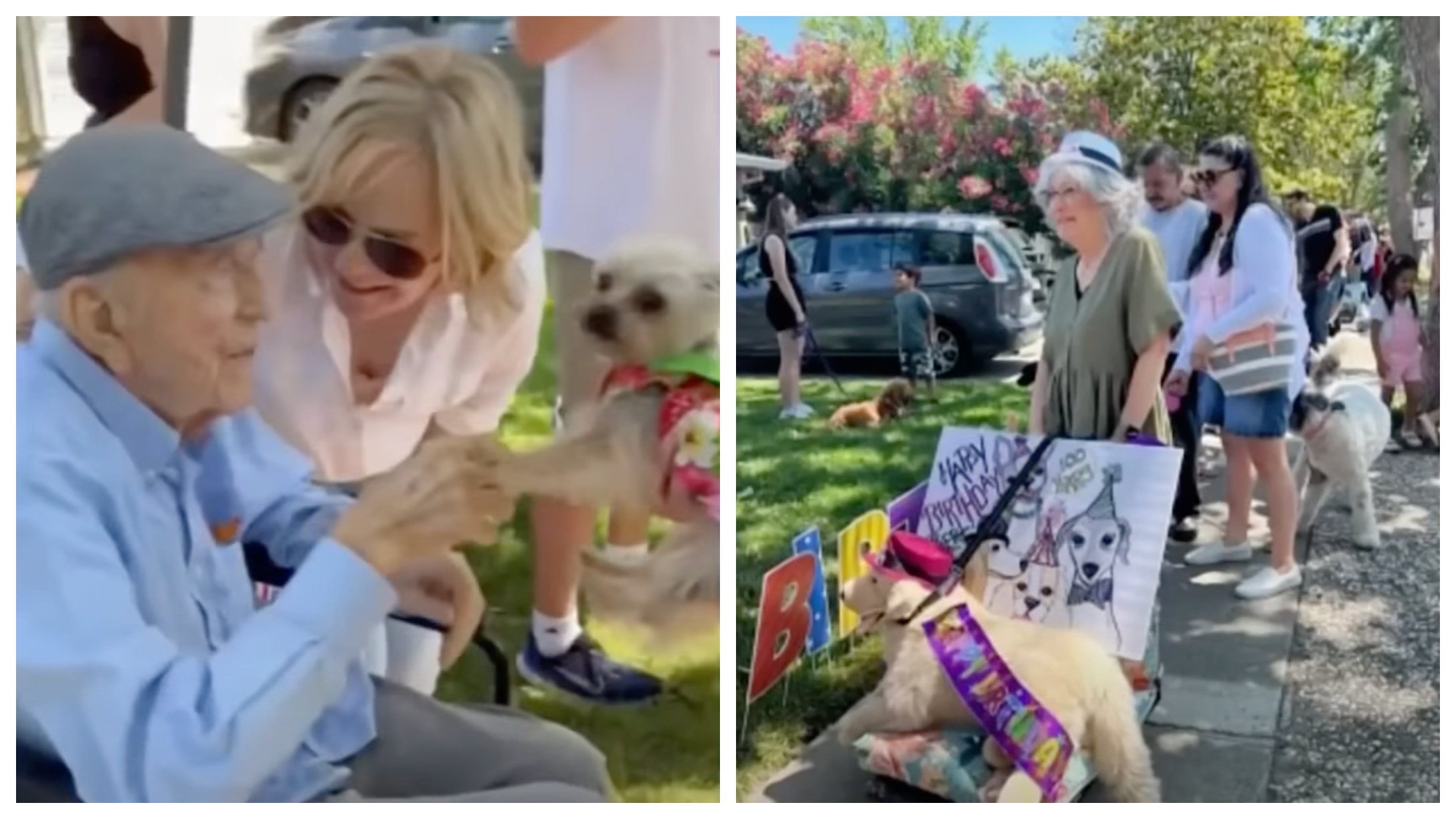 A San Jose Man Receives A Dog Parade For His 100th Birthday ...