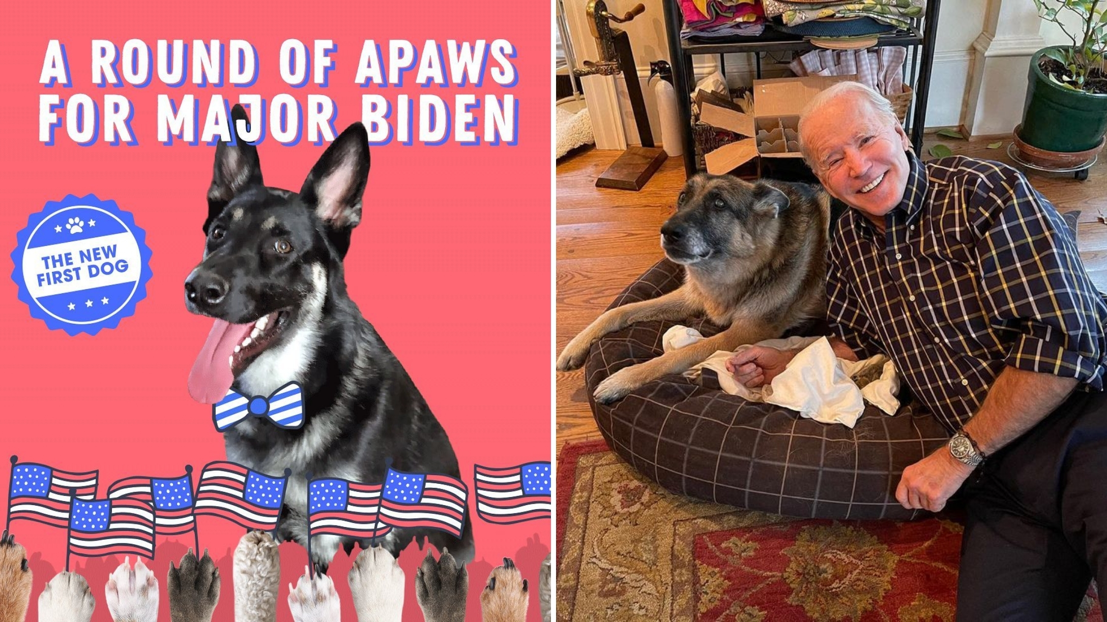 Major Biden's 'Indoguration' Raises $200,000 For The Rescue The Future ...
