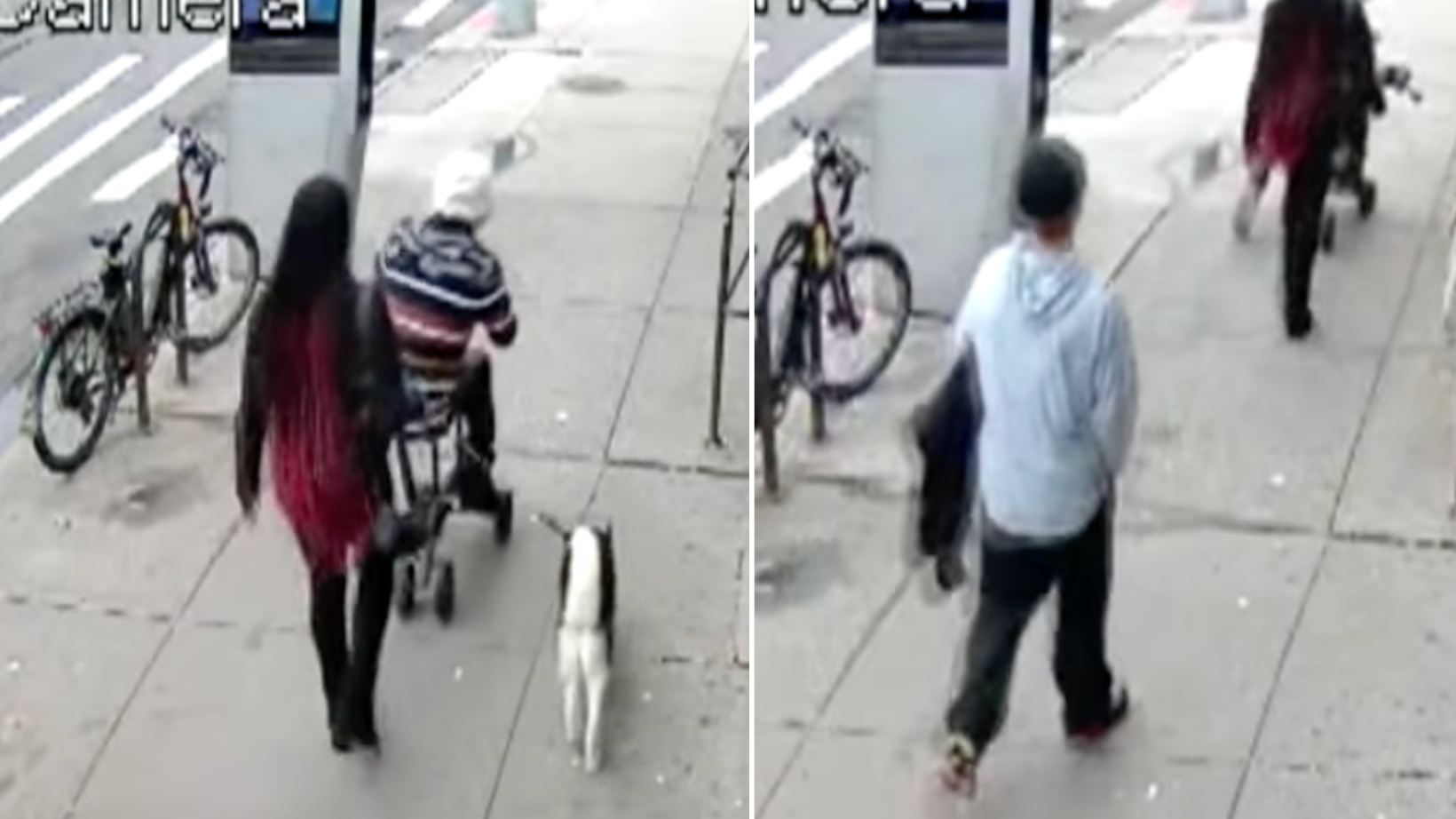 Man Allegedly Stabbed On Sidewalk In NYC By Man And Woman With Husky ...