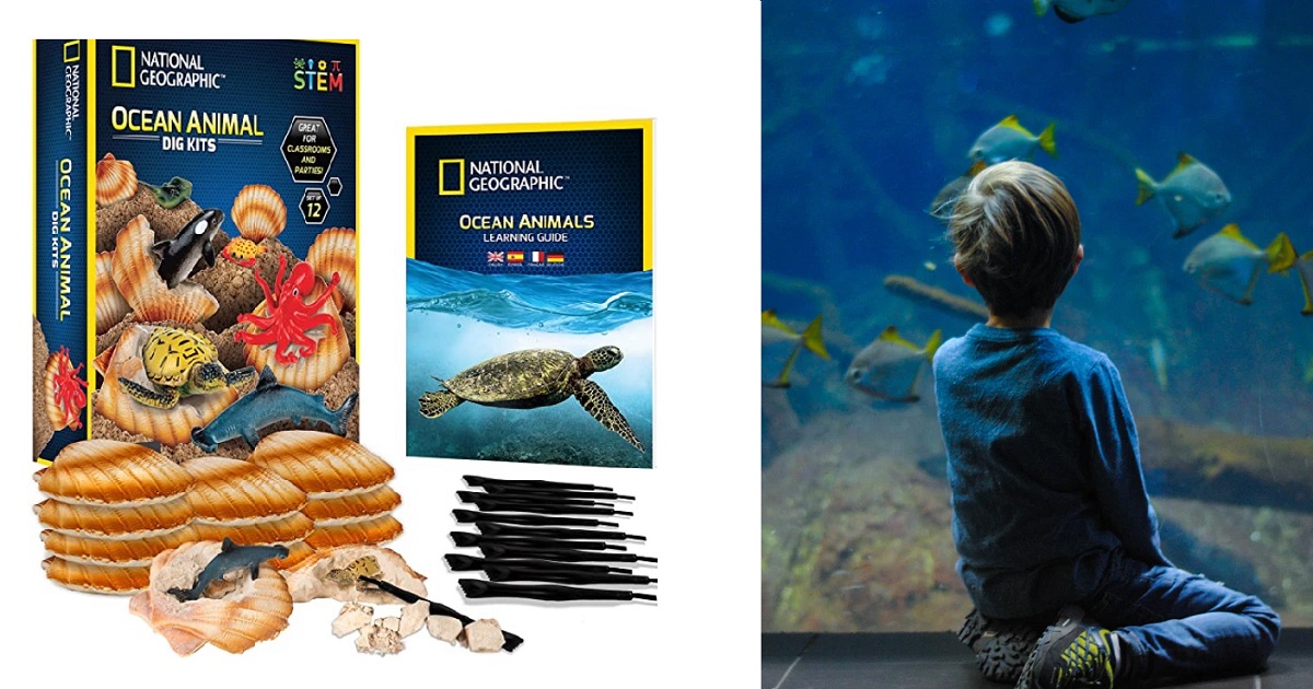 Fun Gift Ideas For Children Who Are Fascinated With Animals ...