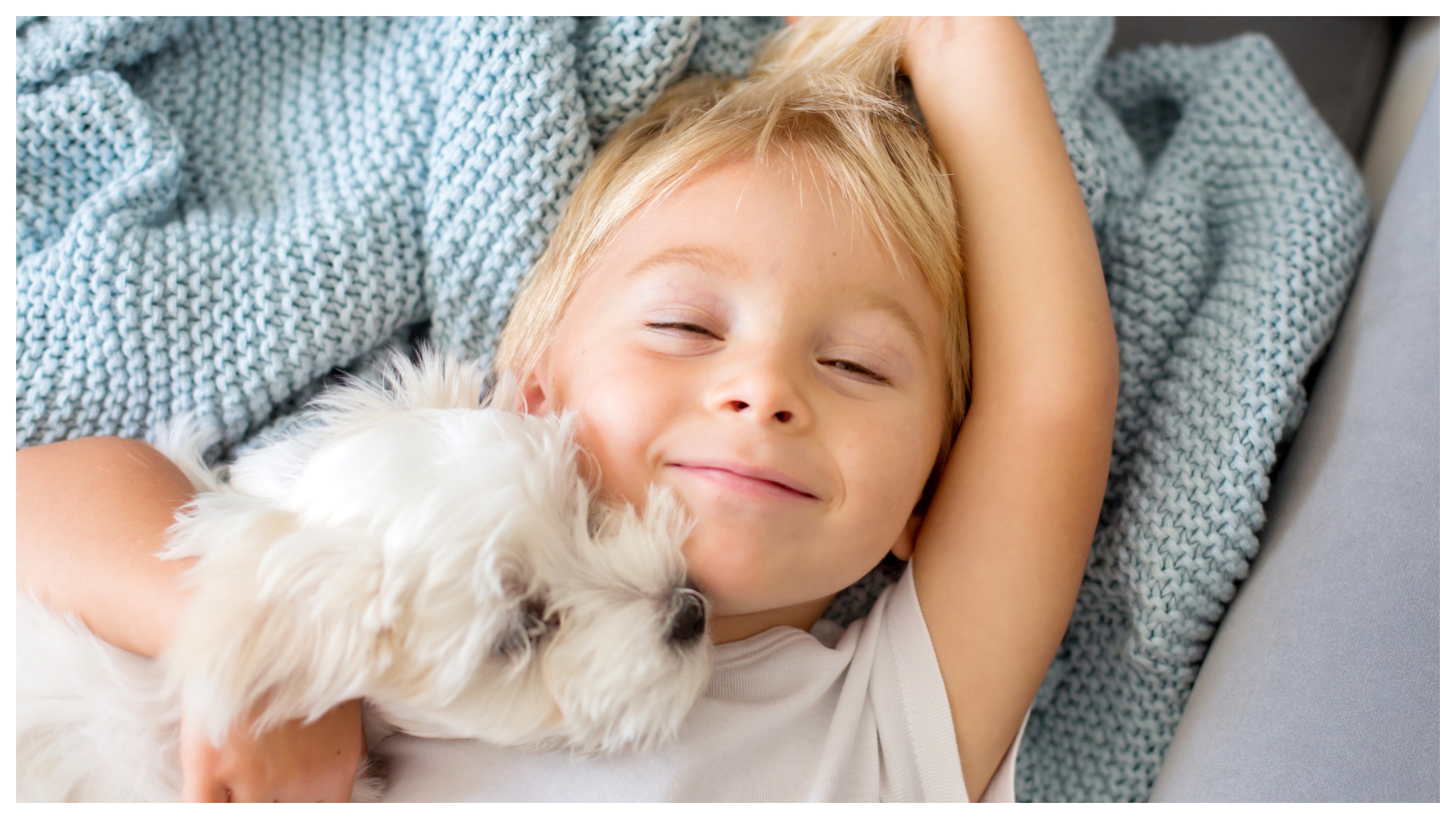 7 Great Companies That Help Animals In Need | LittleThings.com