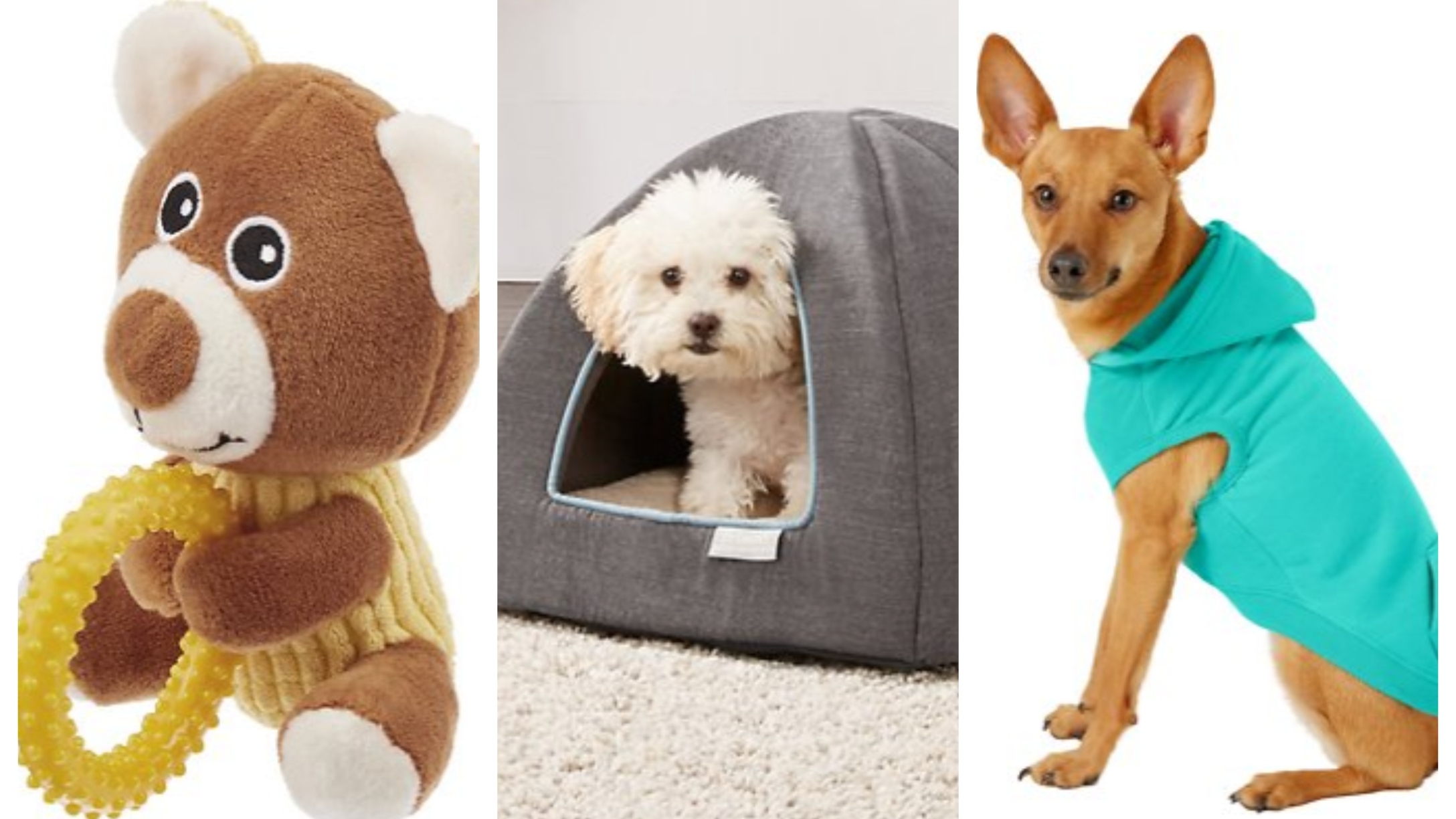 looking-for-discounted-puppy-products-chewy-is-offering-20-off-all