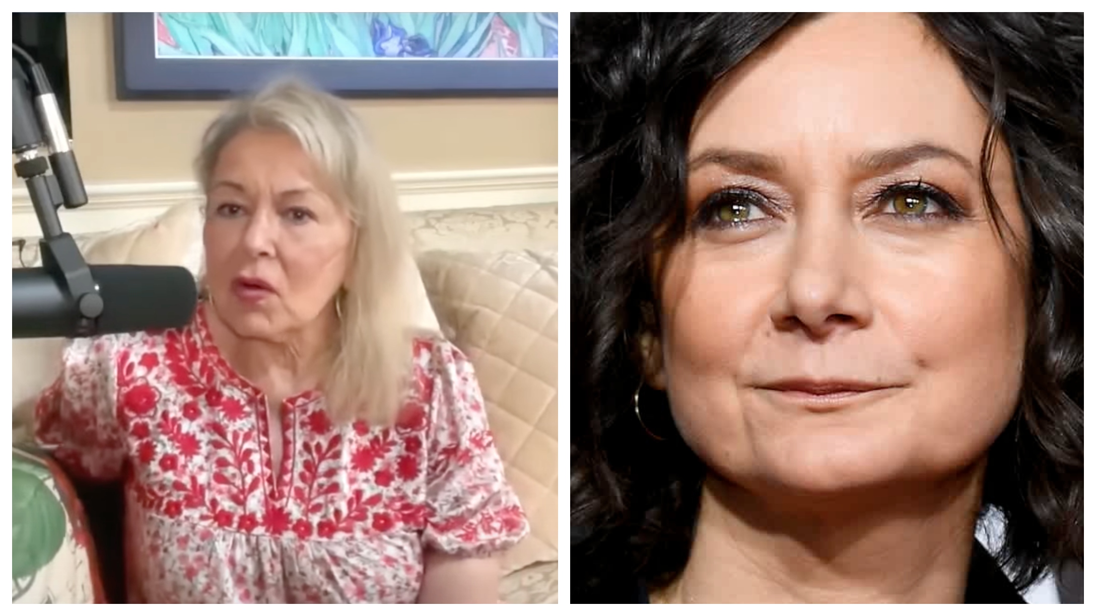 Roseanne Barr Claims Former Costar Sara Gilbert Stabbed Her In The Back ...