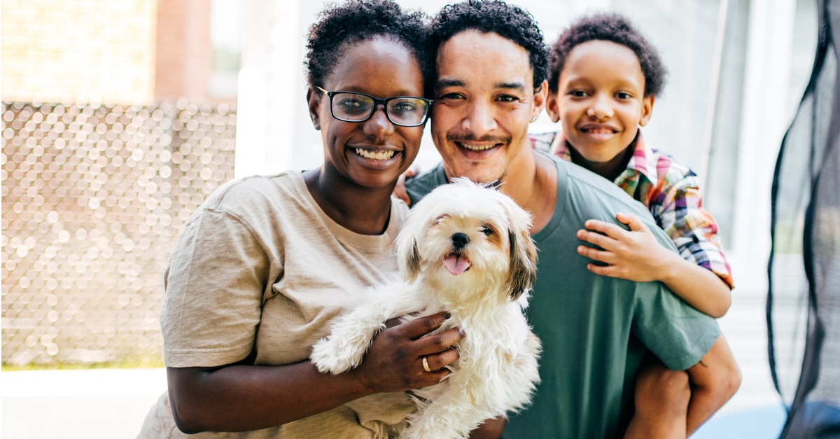 7 Struggles Universally Had By Pet Parents | LittleThings.com