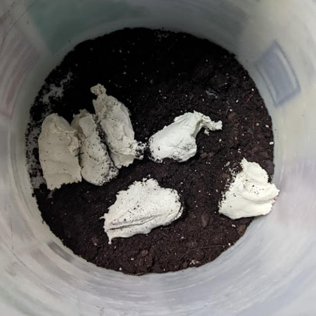 My Kids Made DIY Wildflower Seed Bombs & Launchers To Celebrate Spring ...