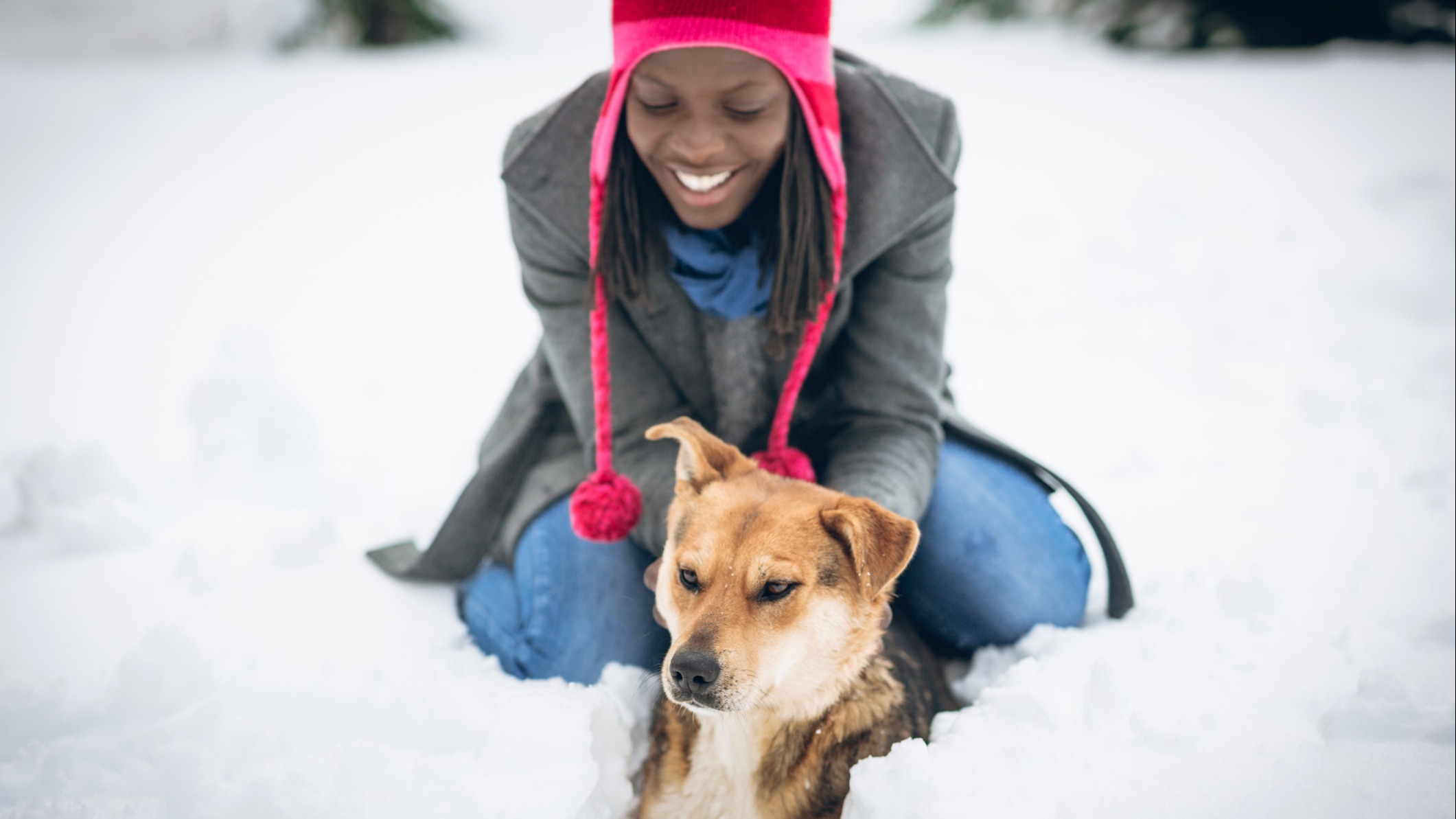 Cold Weather Pet Care: What To Do When Temperatures Drop | LittleThings.com