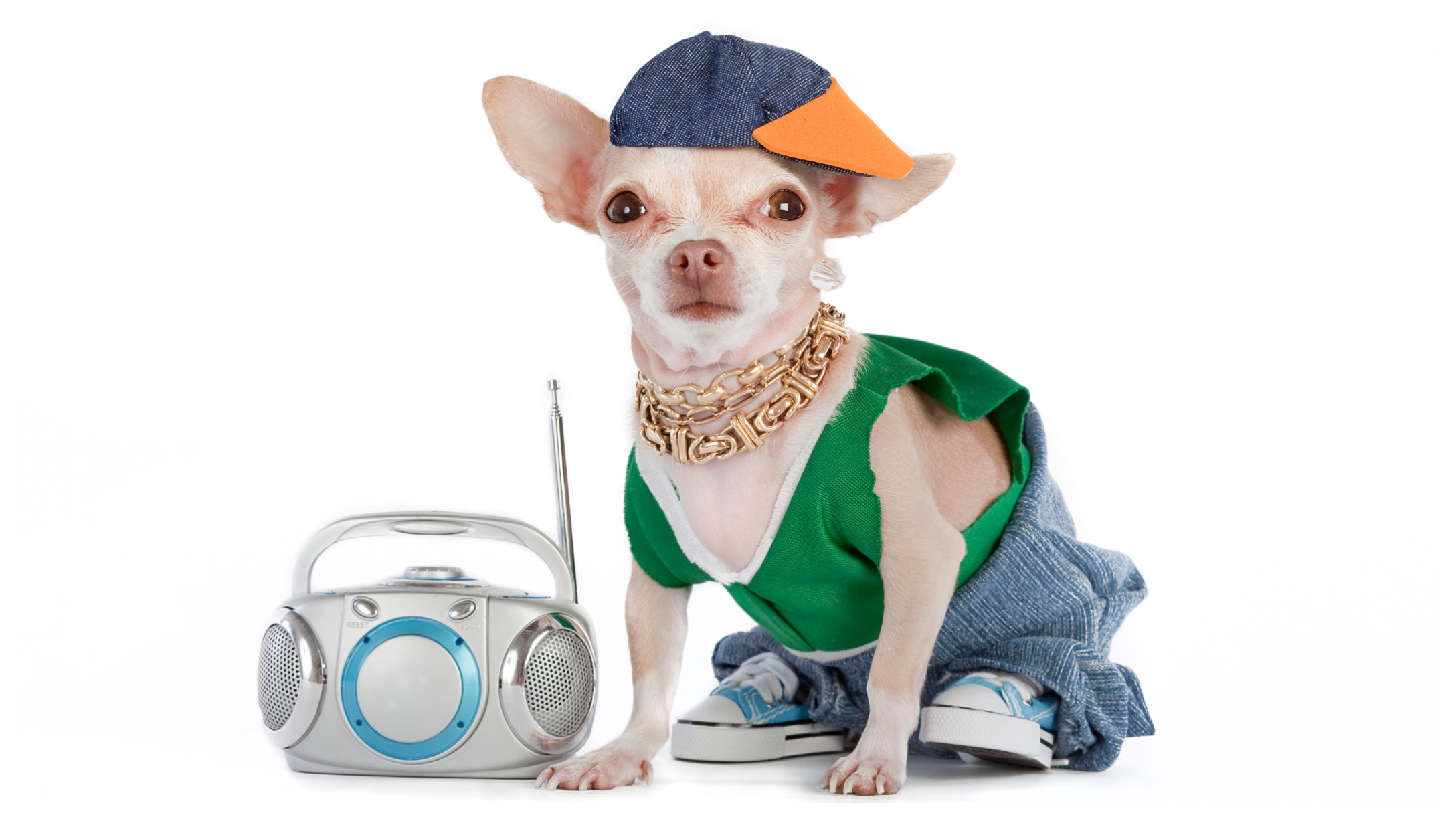 The Best Hip-Hop Inspired Dog Names | LittleThings.com