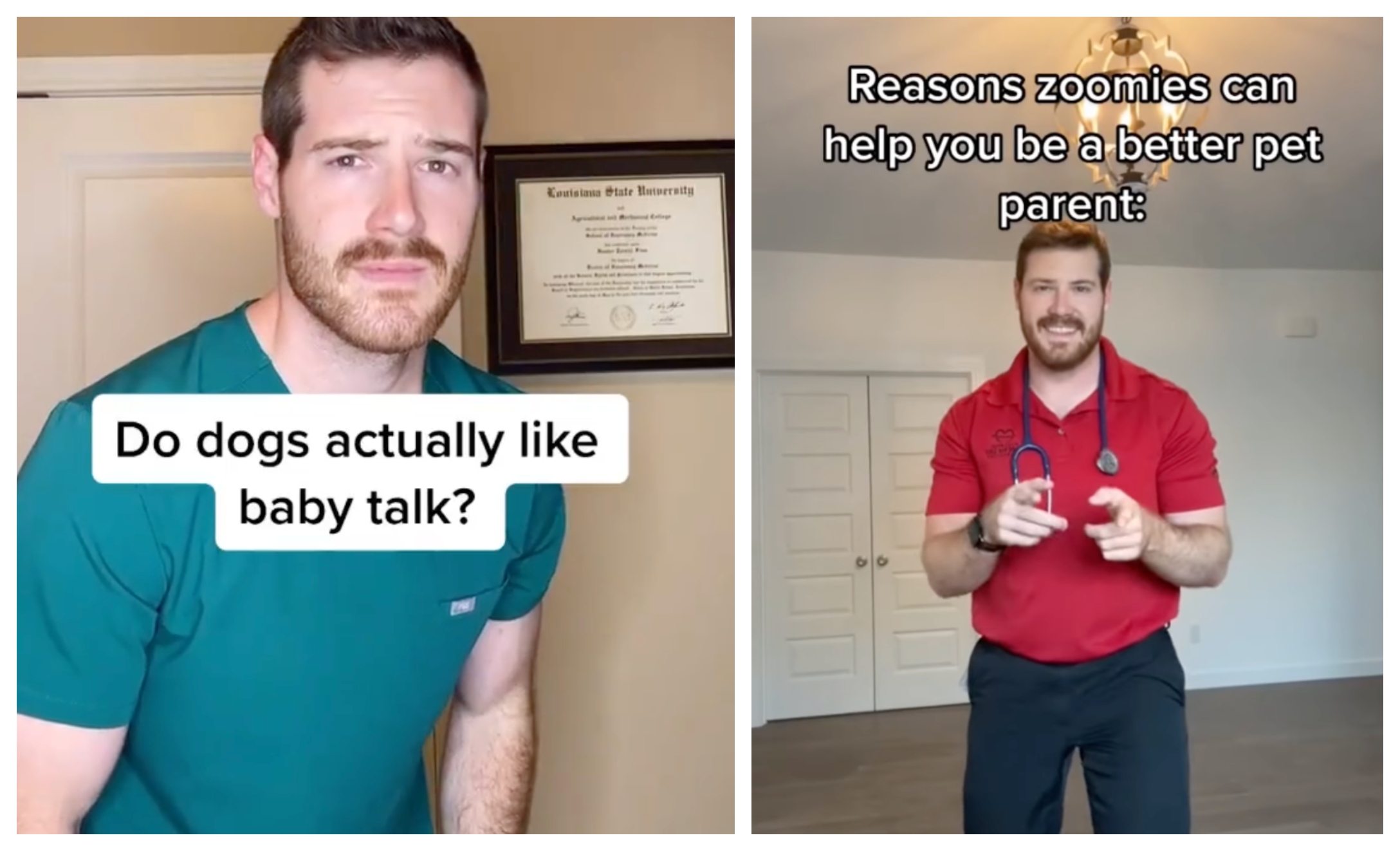 Interview With Dancing Veterinarian Dr. Hunter Finn | LittleThings.com