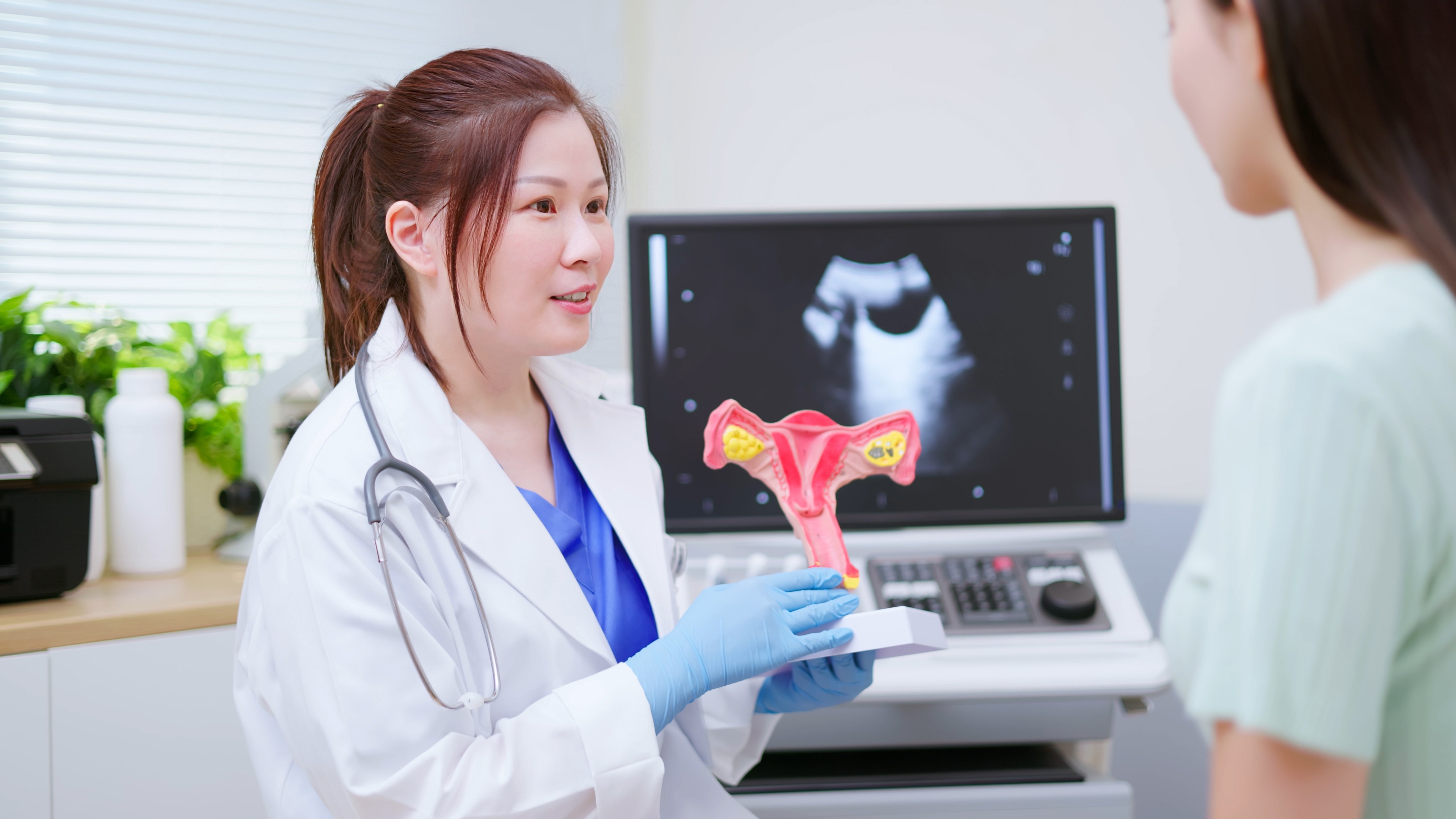 PCOS: All Of The Vital Information You Need To Know About This Hormone ...