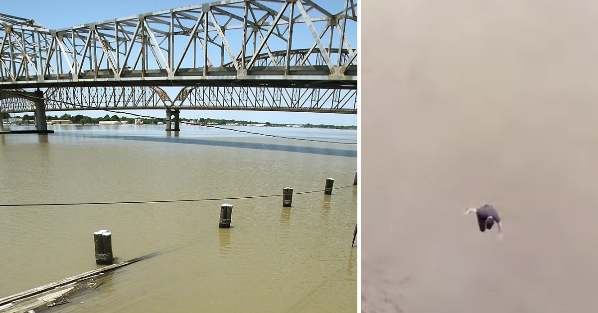 A Man Chose To Jump Off A Bridge Into Alligator-Infested Water Out Of ...