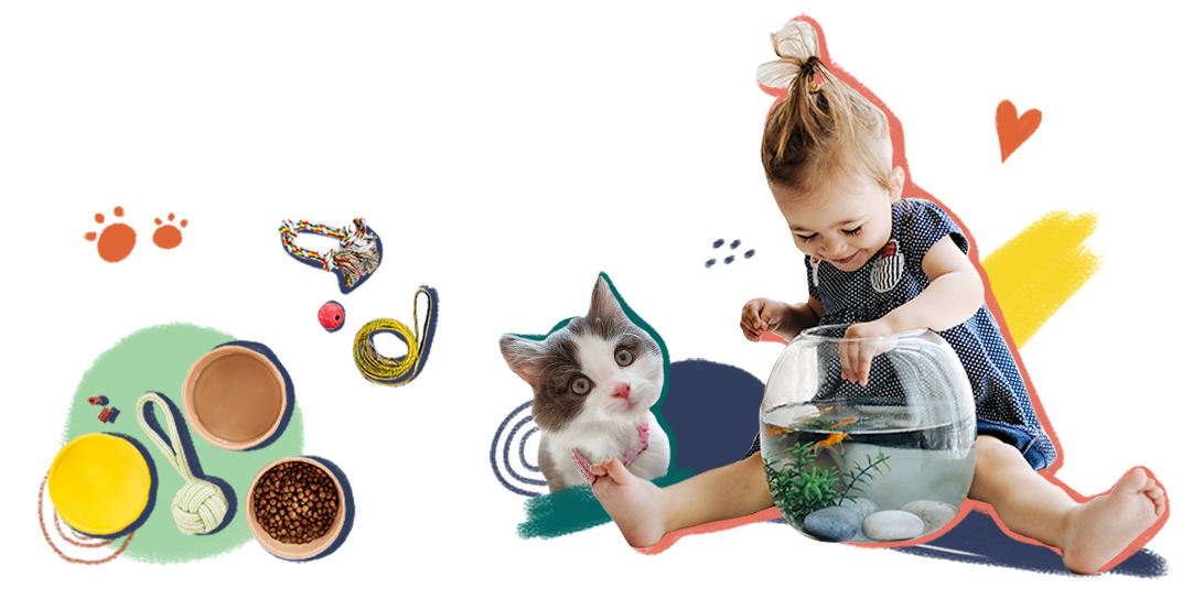 Pets | LittleThings.com