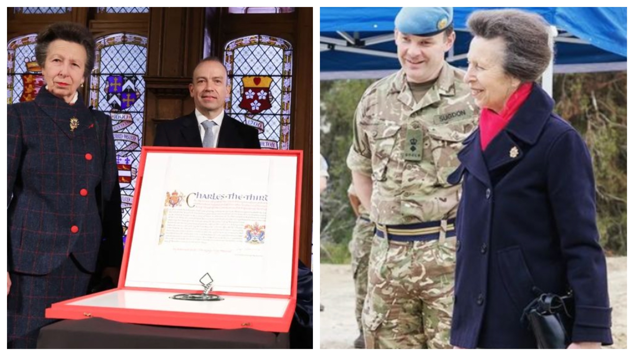 Princess Anne’s Dog Attacks Another Dog During Christmas Celebrations ...