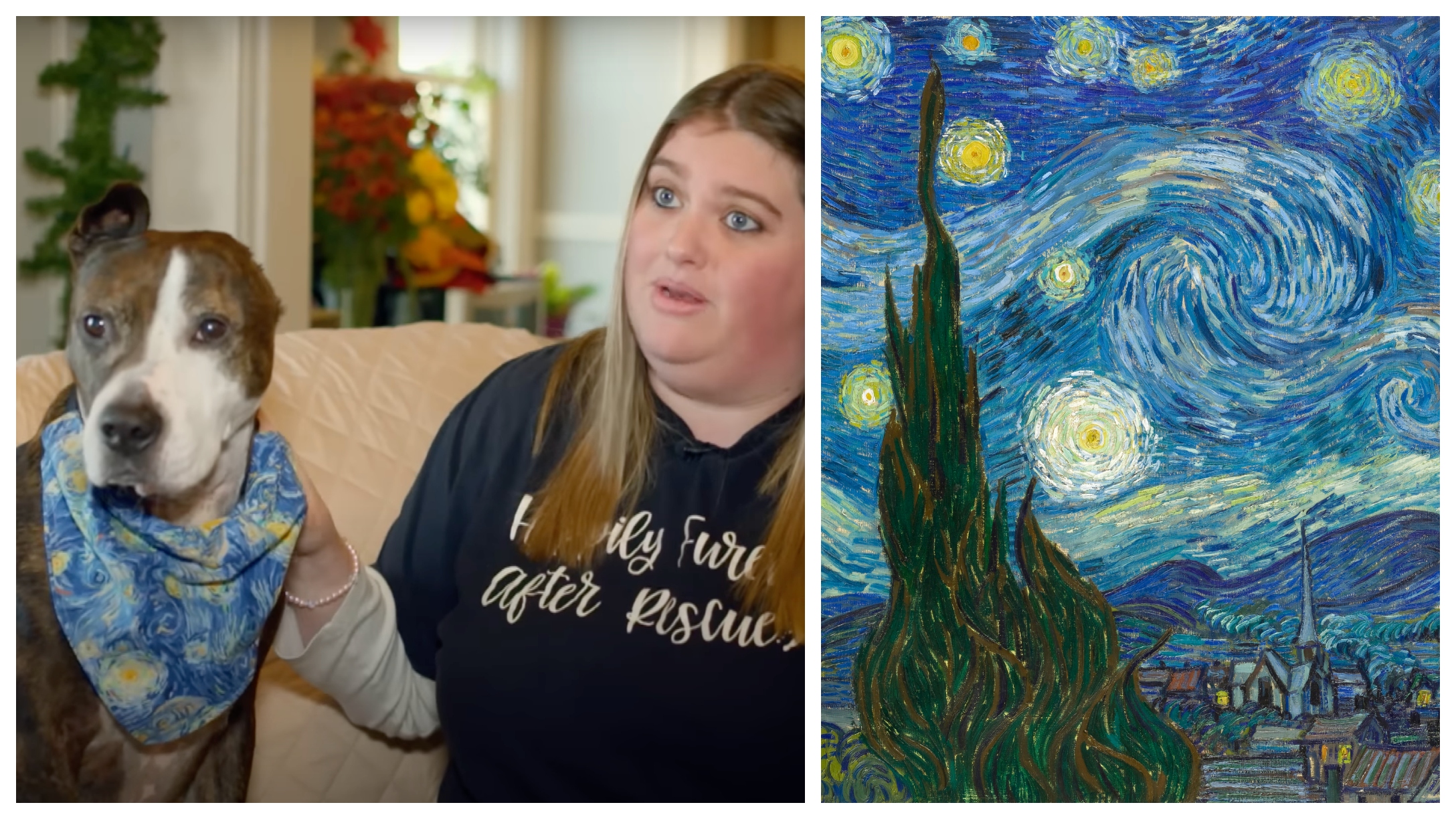 A Former Stray Dog With One Ear Named Van Gogh Creates Beautiful ...