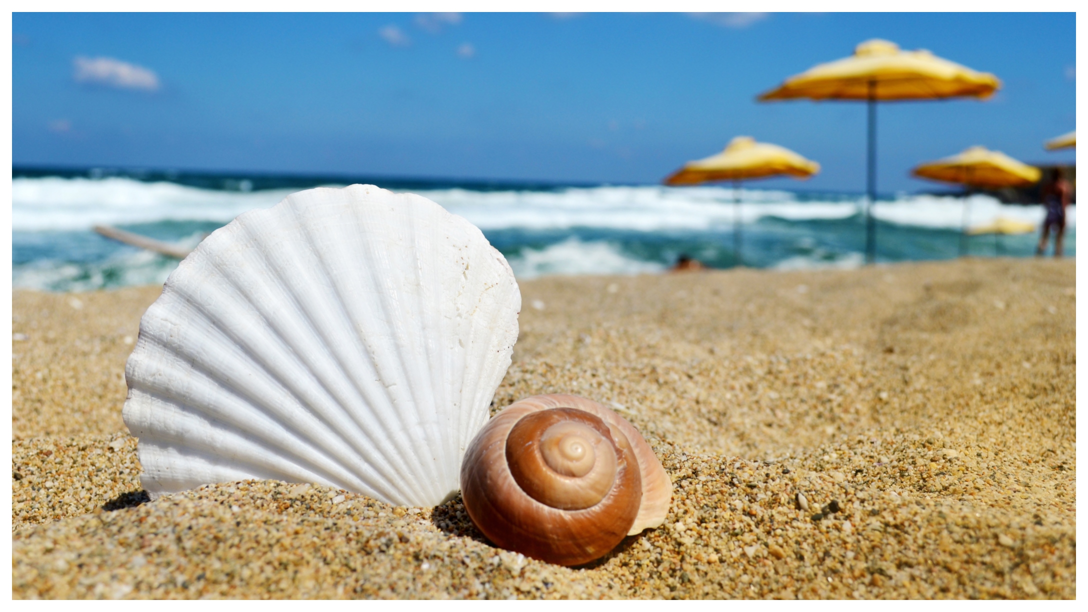 Mom Hit With $88K Fine After Kids Mistake Clams For Seashells ...