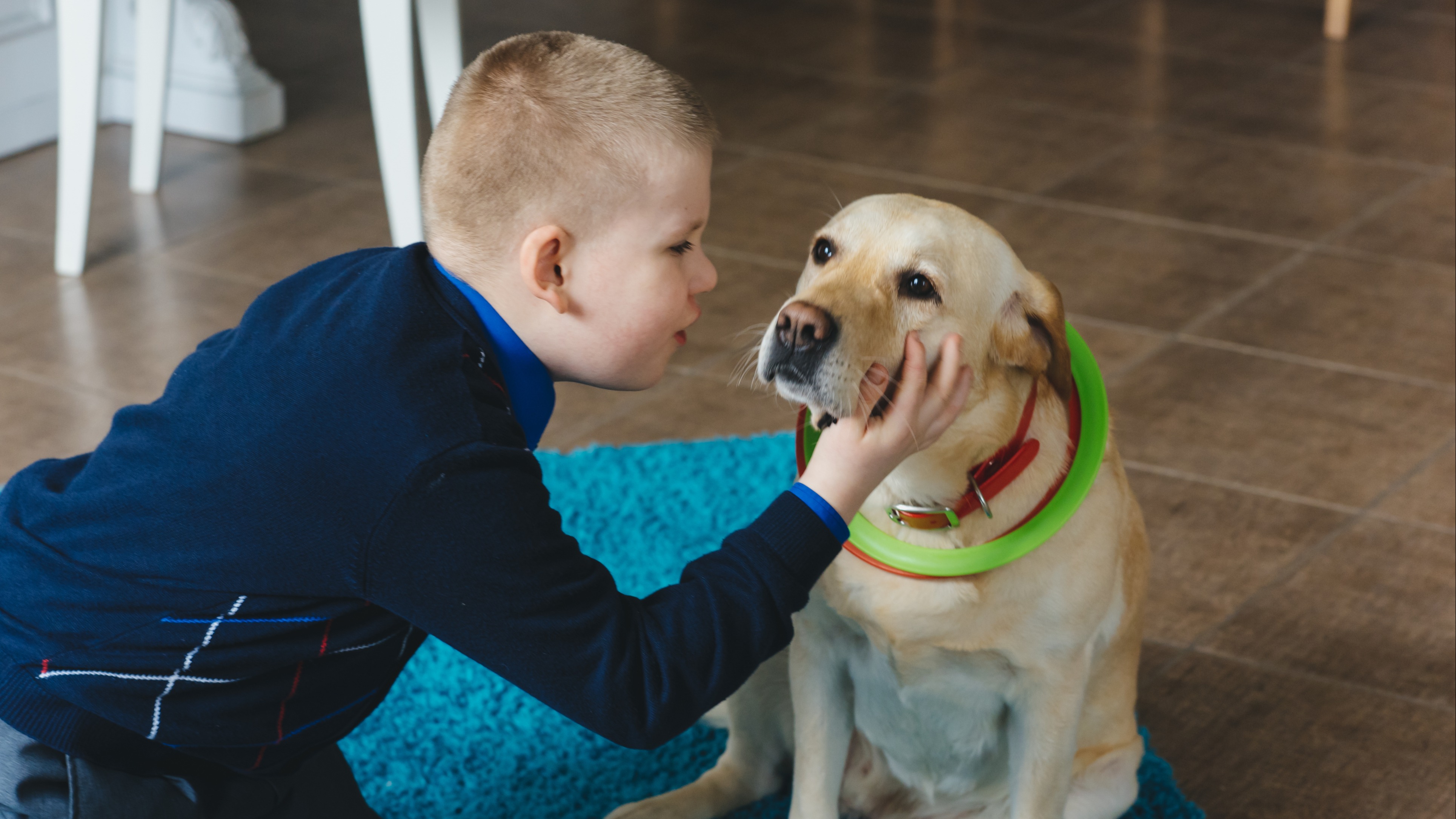 All The Benefits Of Having A Dog In A Home With A Child On The Autism ...