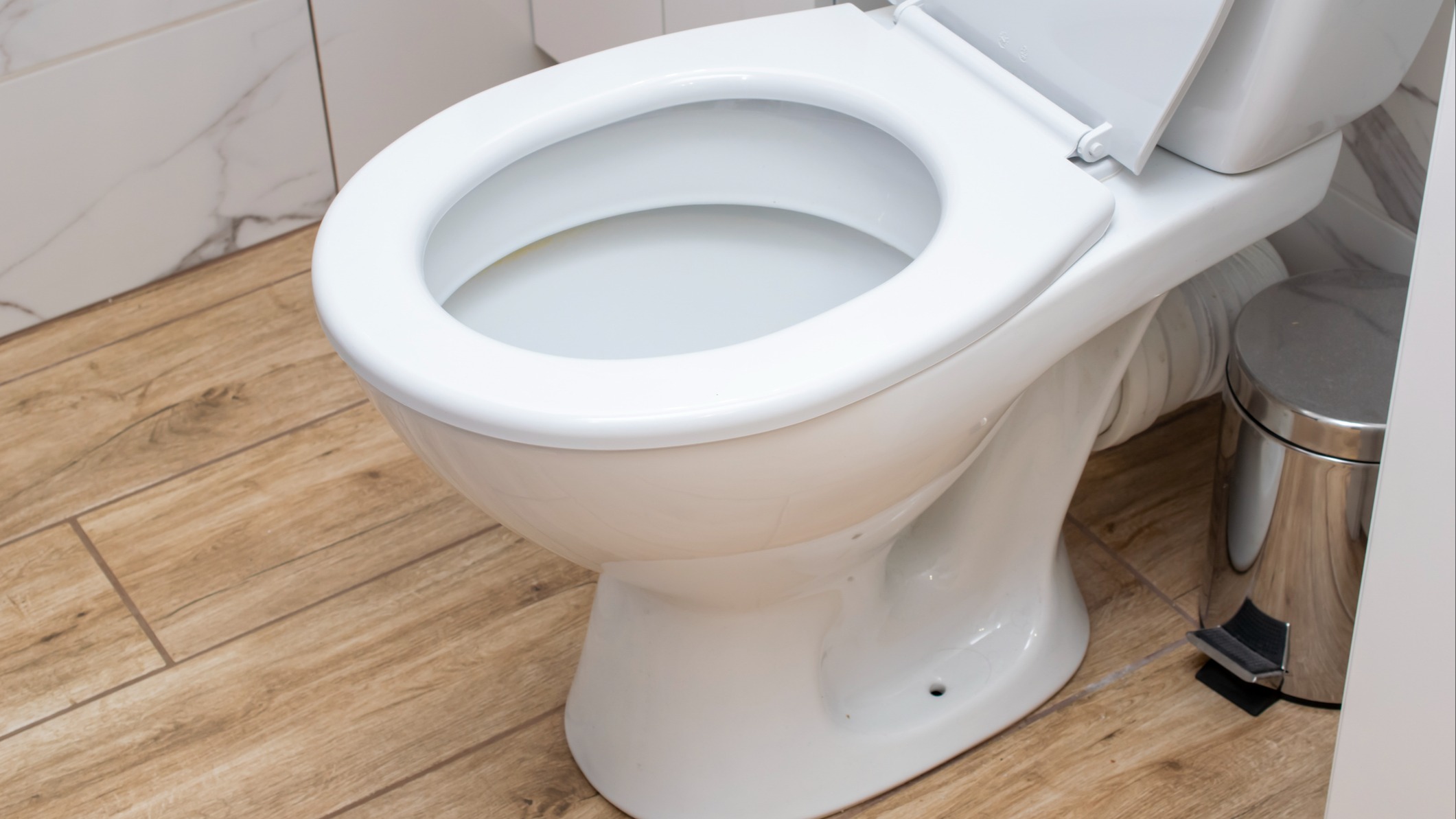 It's Not Recommended To Sit On The Toilet Longer Than 15 Minutes, Here ...