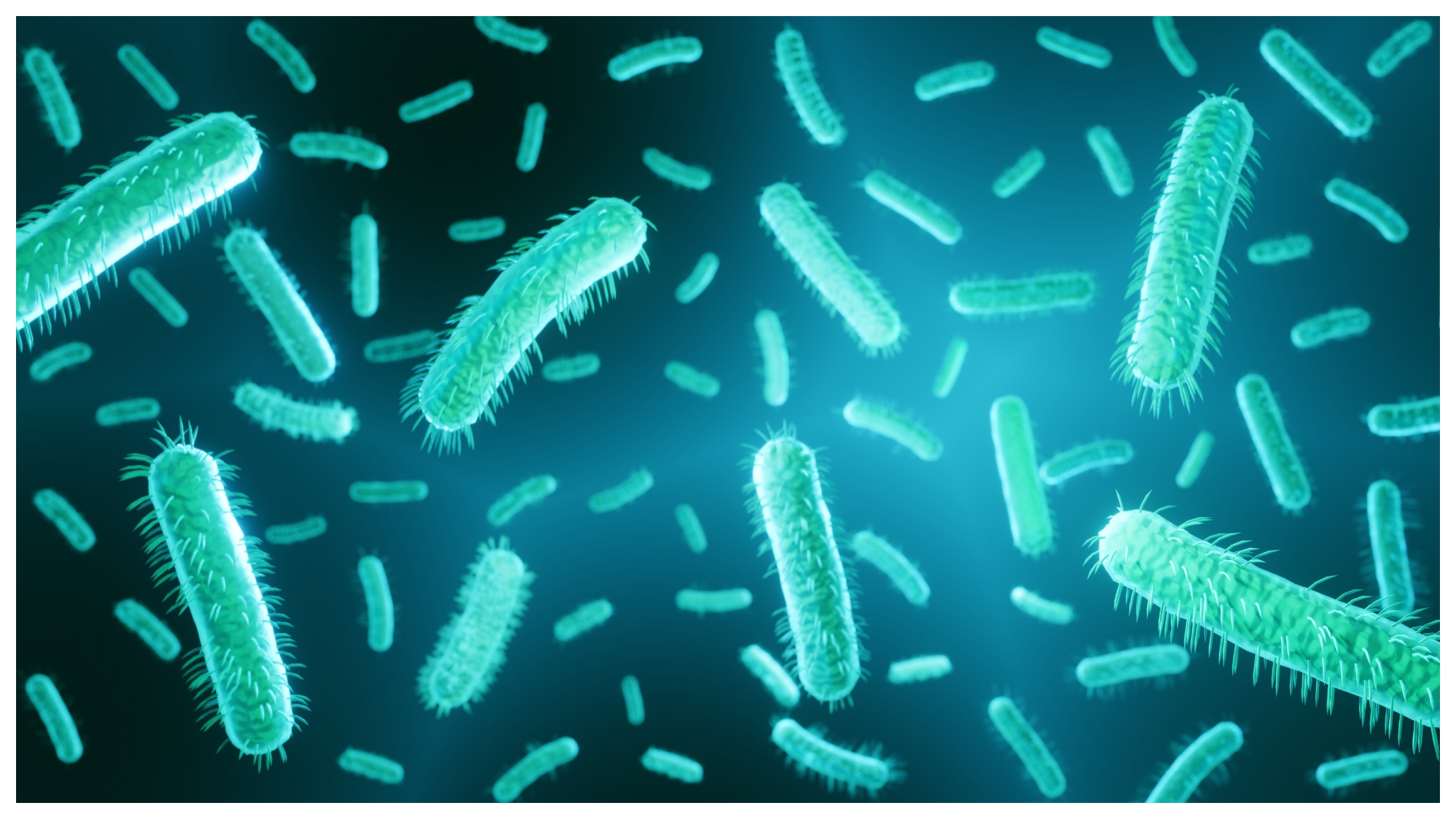 One Dad Worked Tirelessly To Raise Awareness After His Son Died From E ...