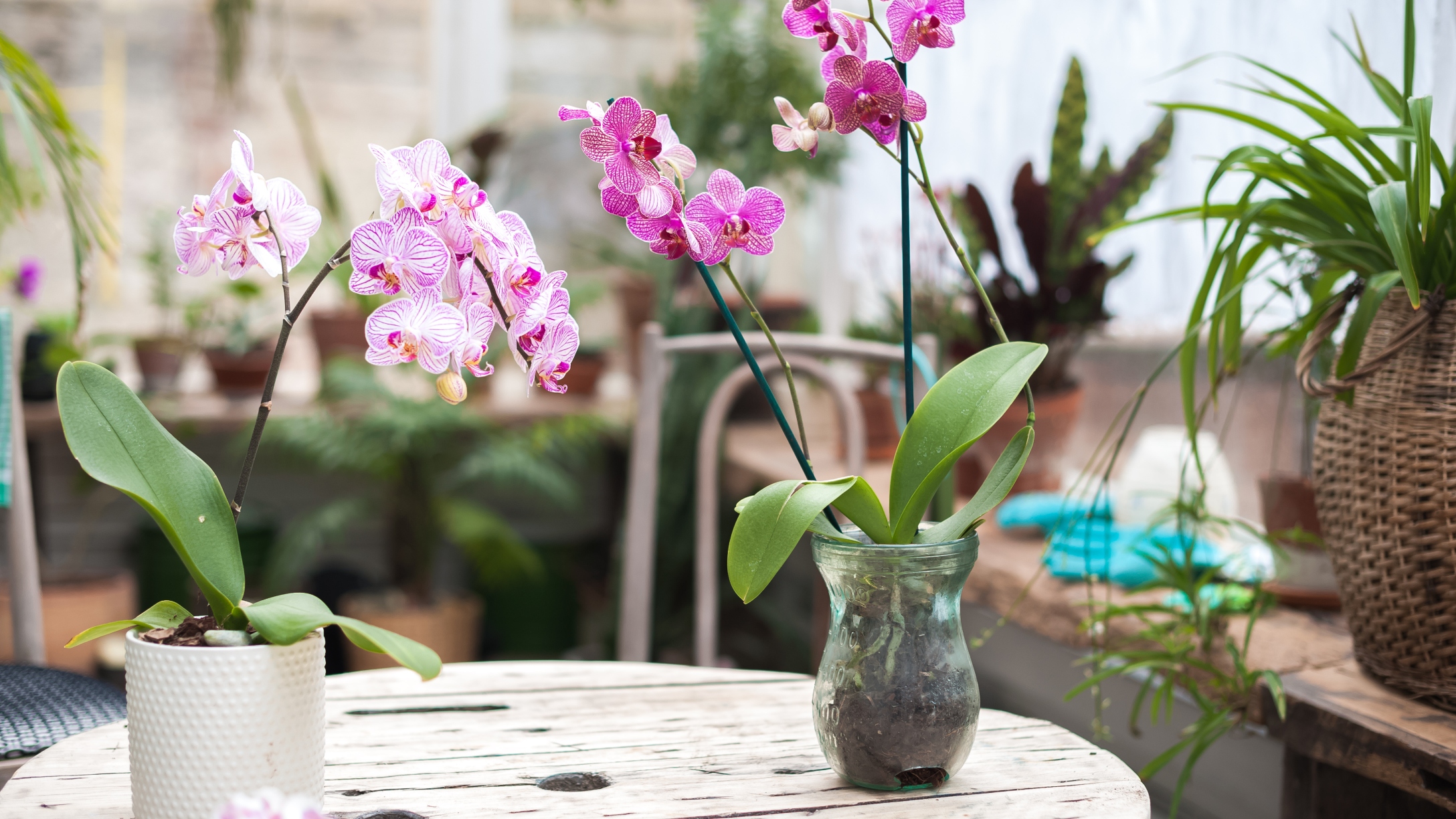 These 30 Flower Names Have Fascinating Stories | LittleThings.com