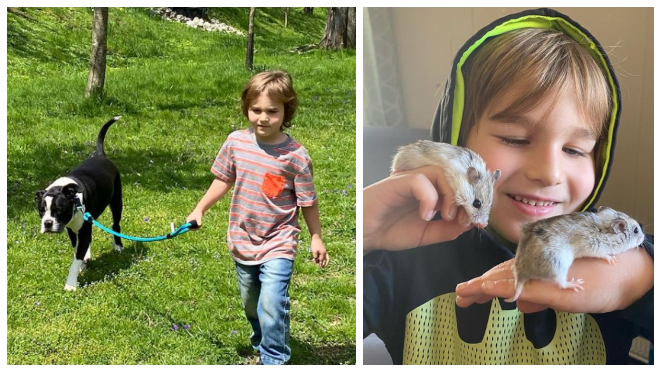 Having Pets Teaches Kids Responsibility In These 7 Important Ways ...