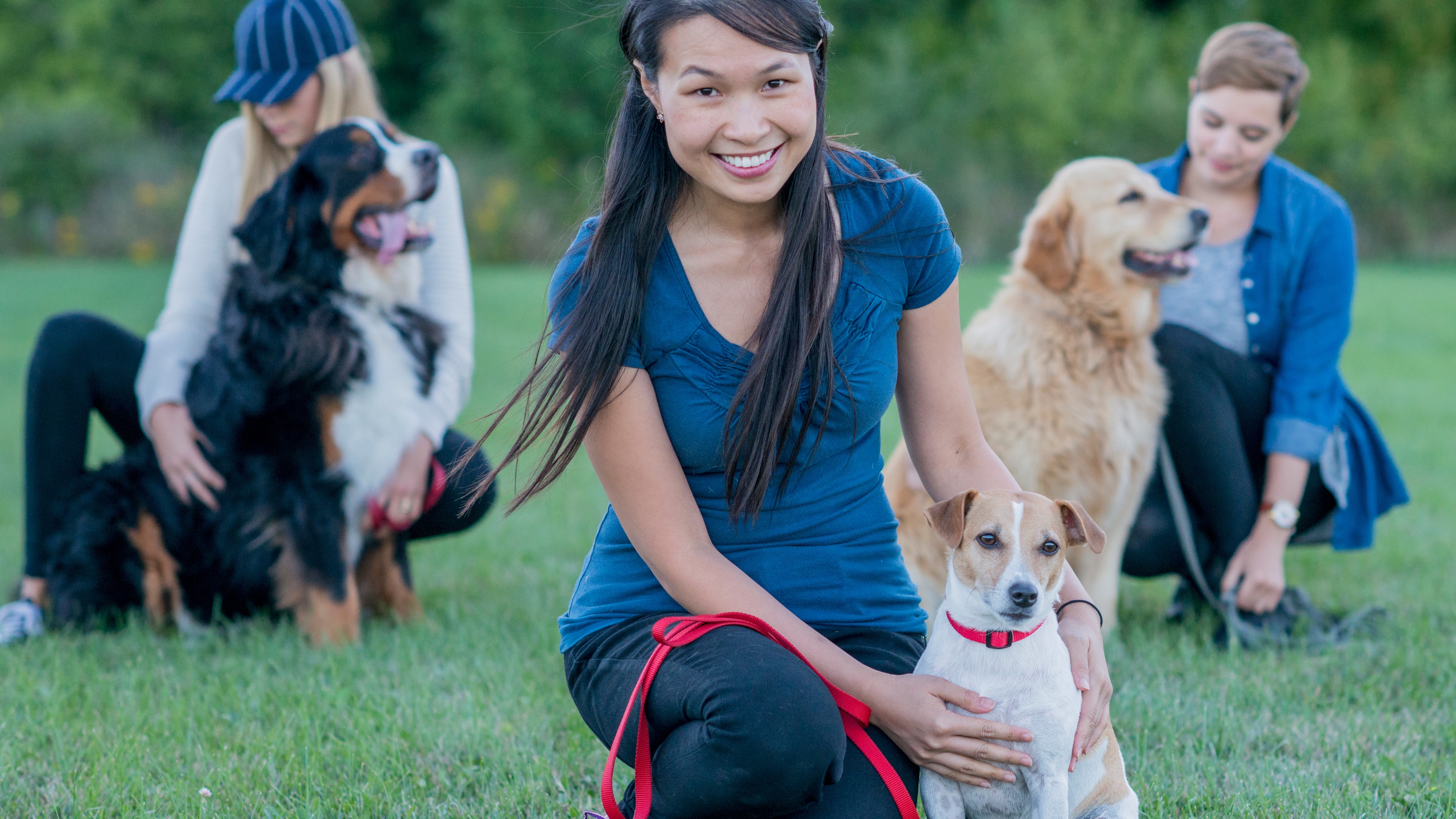 4 Ways Women Can Be The Alpha Their Dog Needs | LittleThings.com