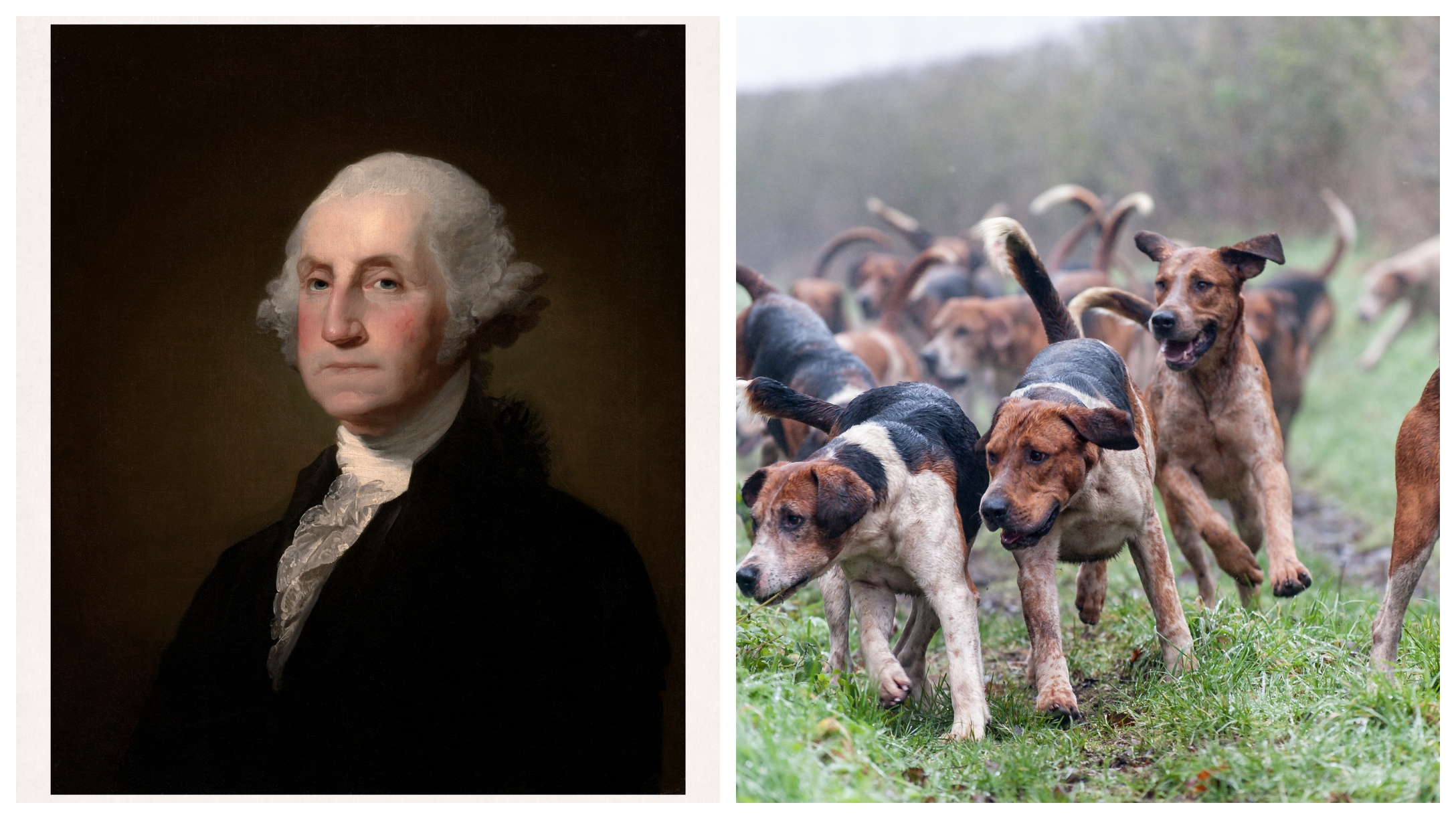 The Best Presidential Dog Names | LittleThings.com