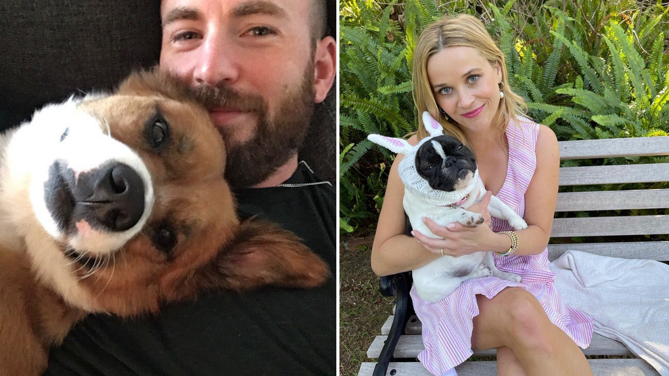 These Celebrities Are Proud Pet Parents And Love To Share Photos With ...