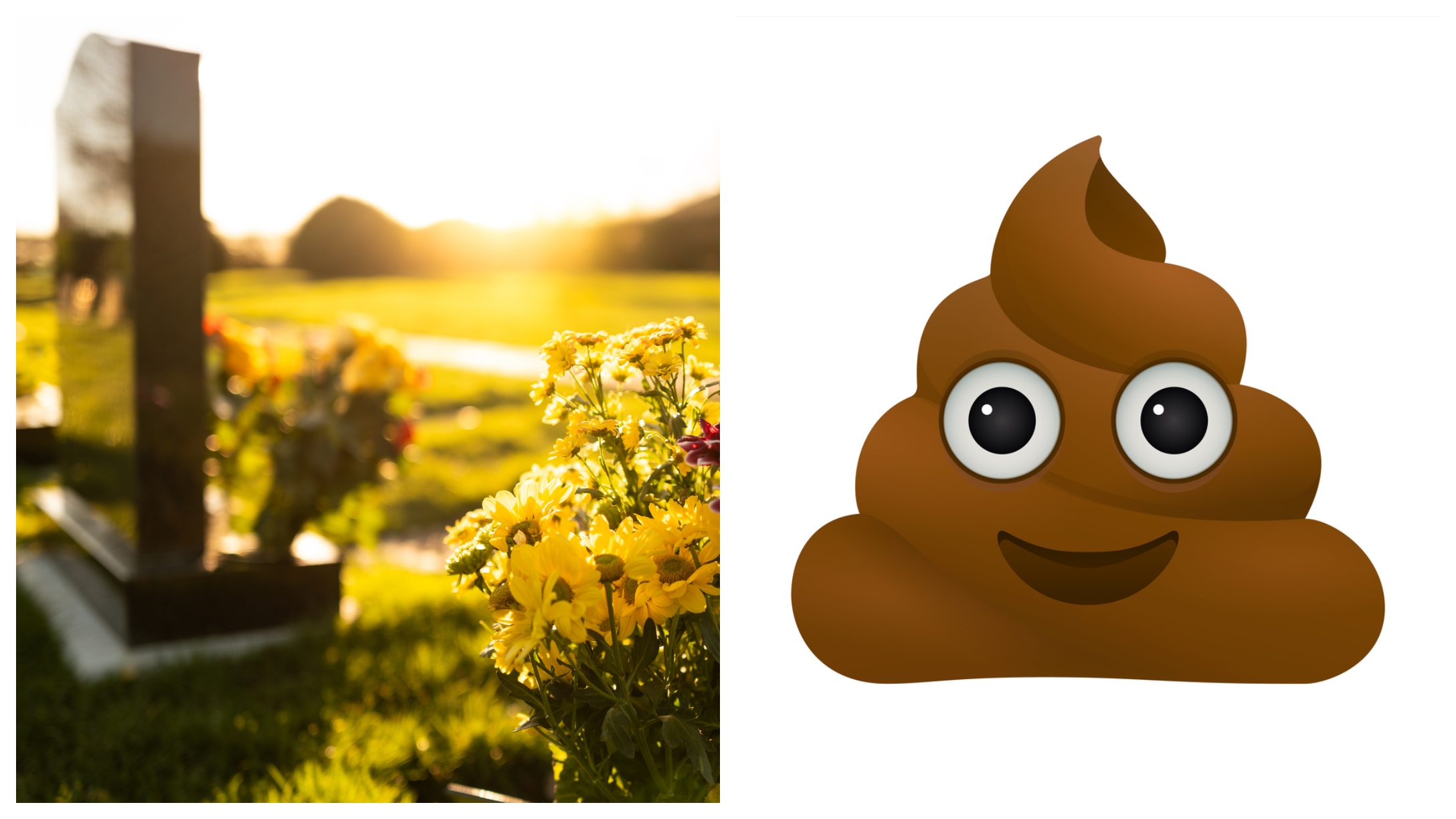 Serial Pooper Takes Aim At Cemetery Headstones | LittleThings.com