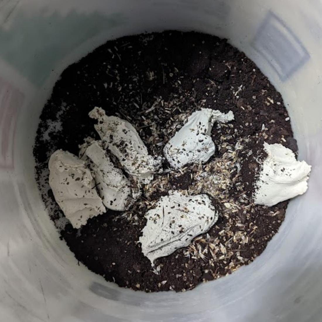 My Kids Made DIY Wildflower Seed Bombs & Launchers To Celebrate Spring ...