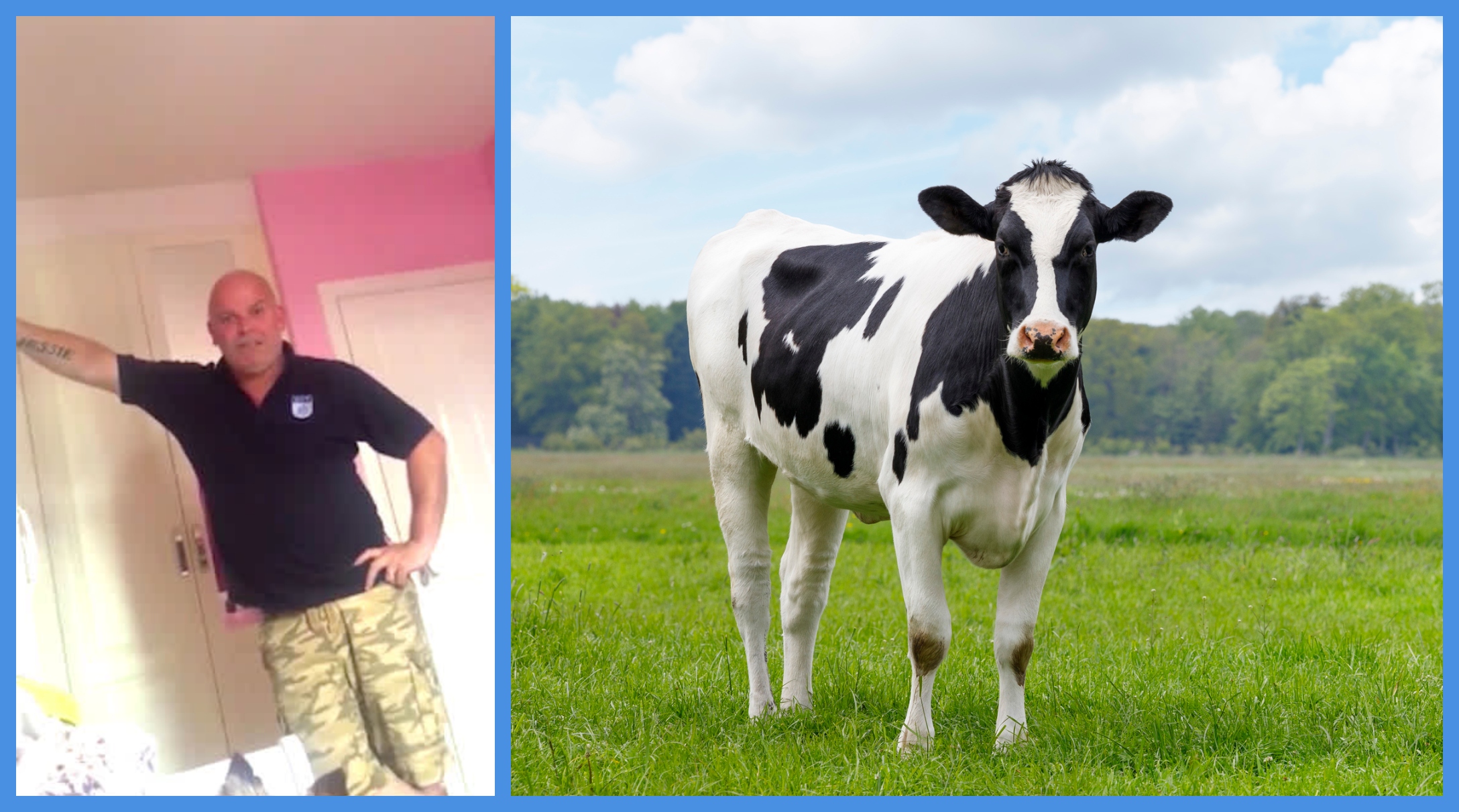 Irish Dad Doesn't Get Daughter's Cow Joke — Until He Gets It ...
