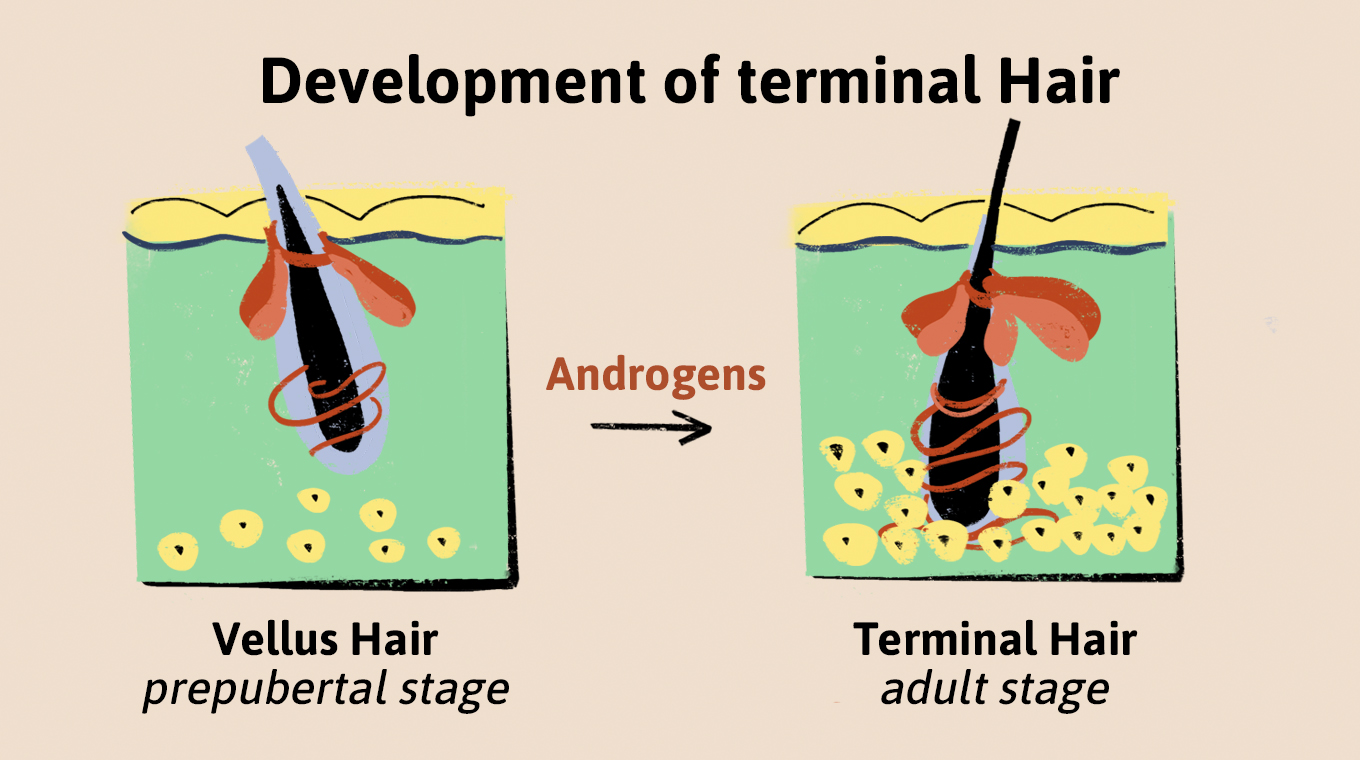 What Your Chin Hair Might Mean And How To Get Rid Of It | LittleThings.com
