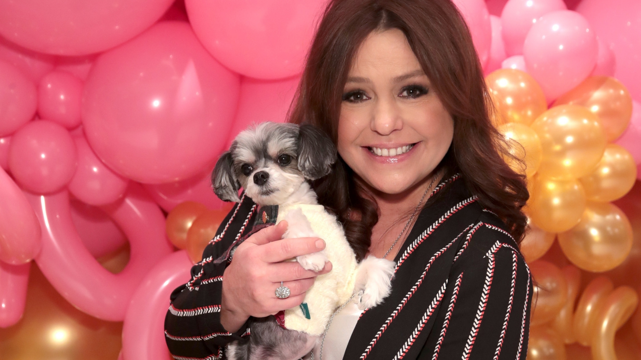 Rachael Ray Works With San Francisco Shelter To Find Senior Dogs ...