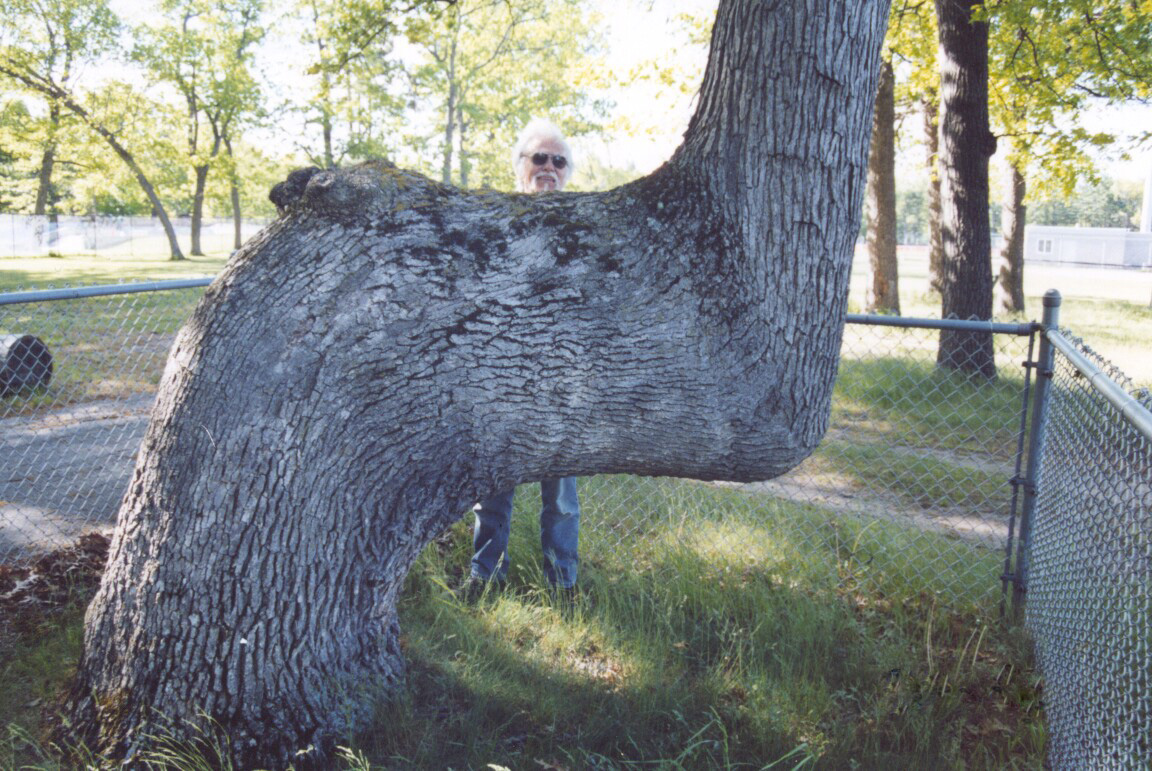 These Tree shapes Have Secret Native American Codes | LittleThings.com
