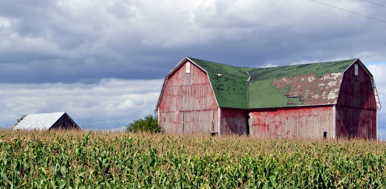 Do You Know The REAL Reason Barns Are Always Red? I Had No Idea ...