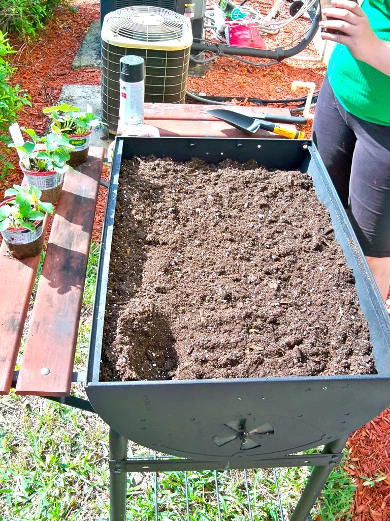 It Was Just A Rusty, Broken Grill — Until She Transforms It Into THIS ...