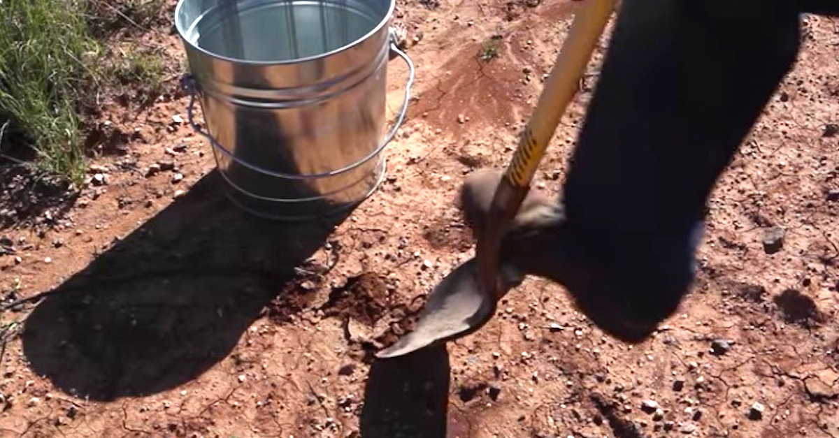 He Digs Deep Into The Ground. But When He Does THIS With The Dirt? Mind ...